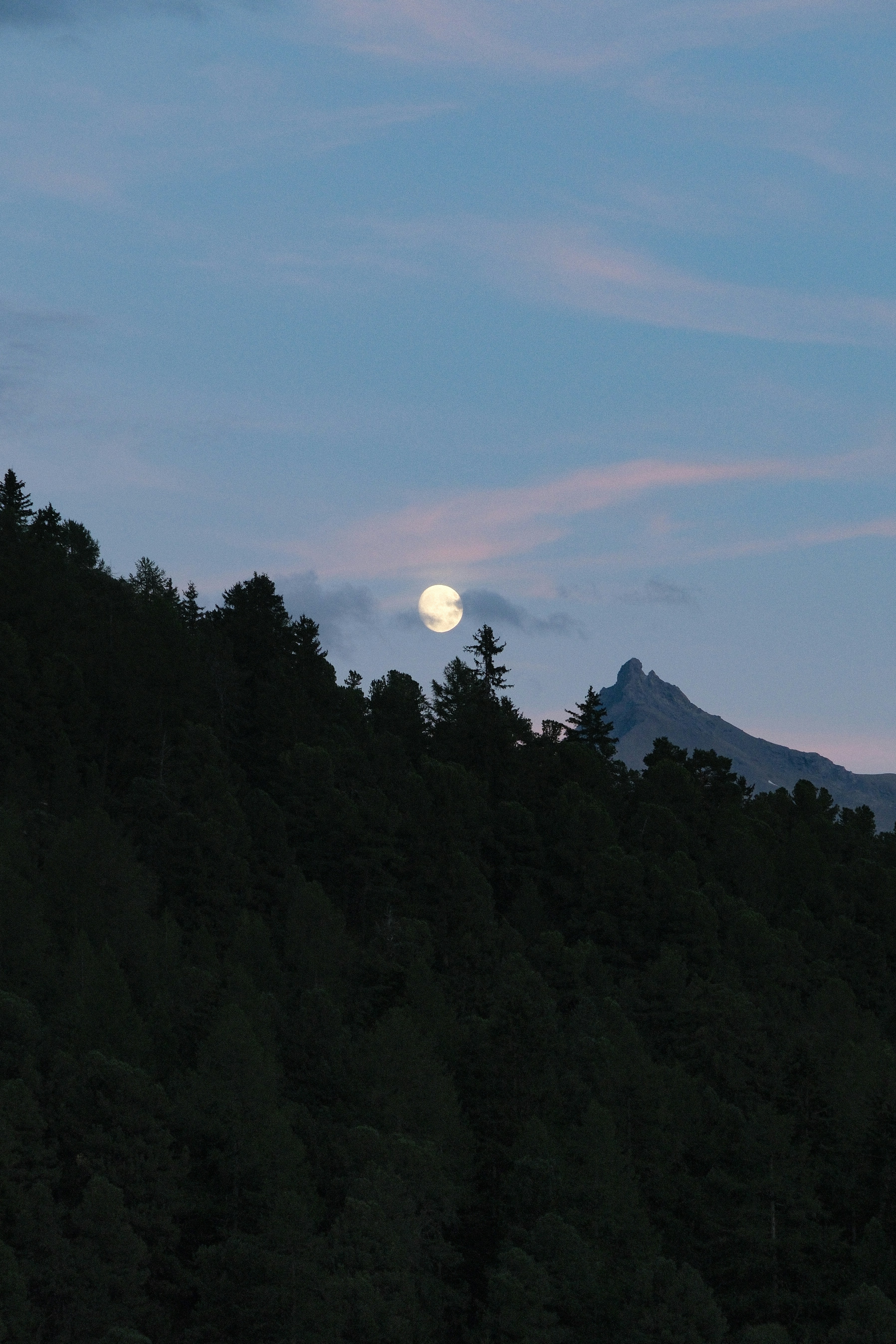 Moonrise Over the Peak: A Quiet Night Above the Pines