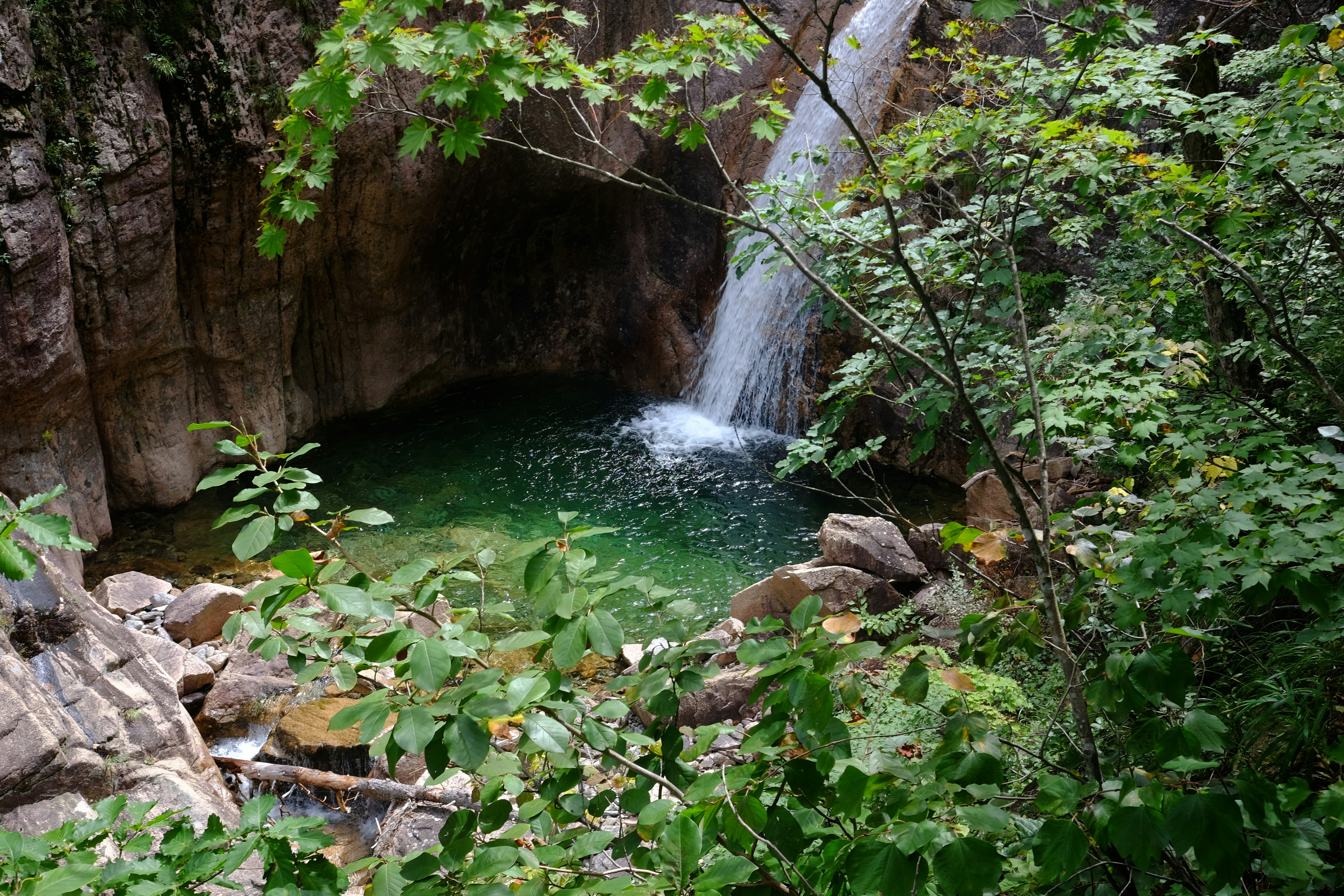 Hidden Pool Under a Curtain of Green