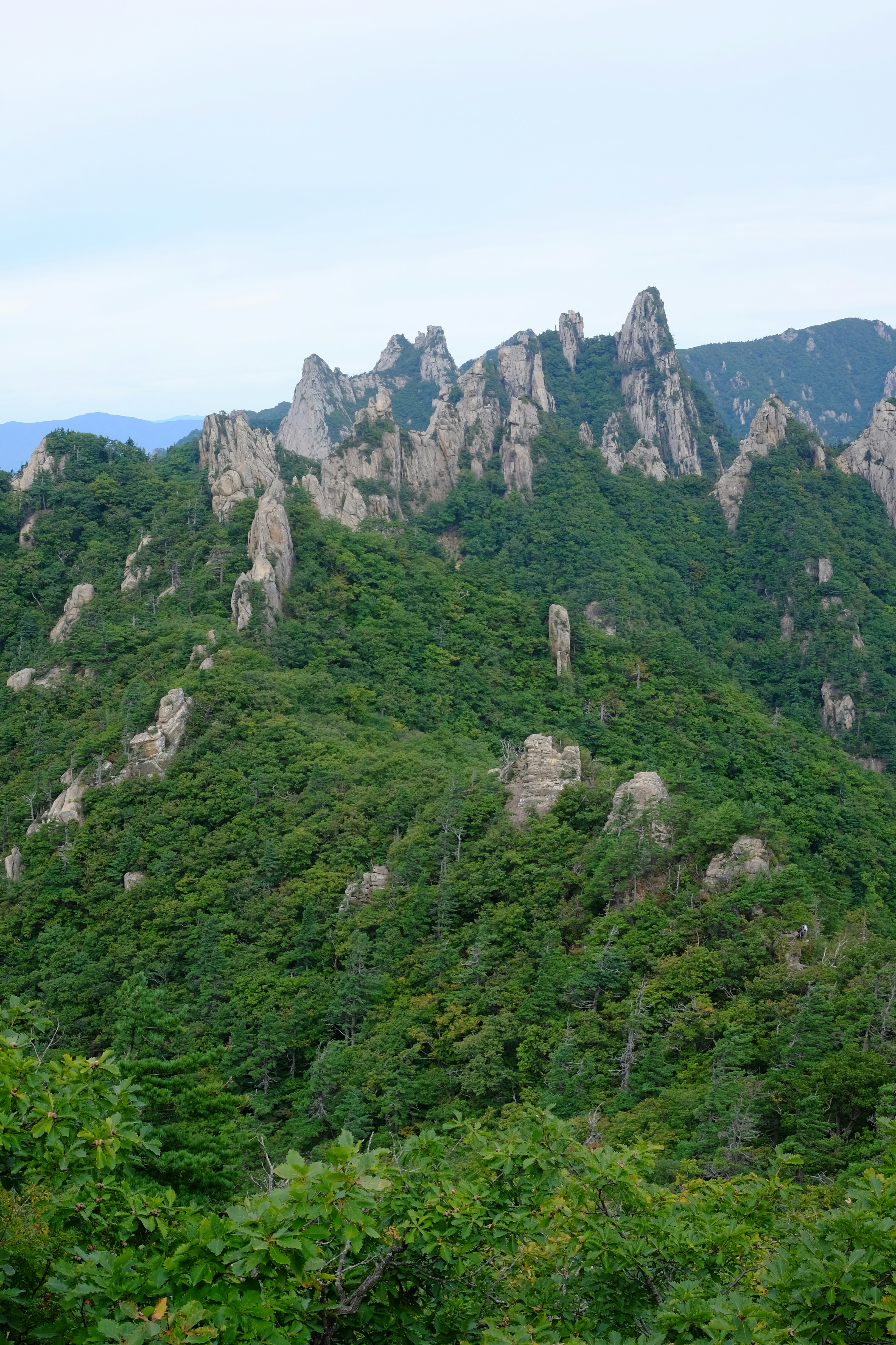 Rugged Peaks Emerging from Green Tolds