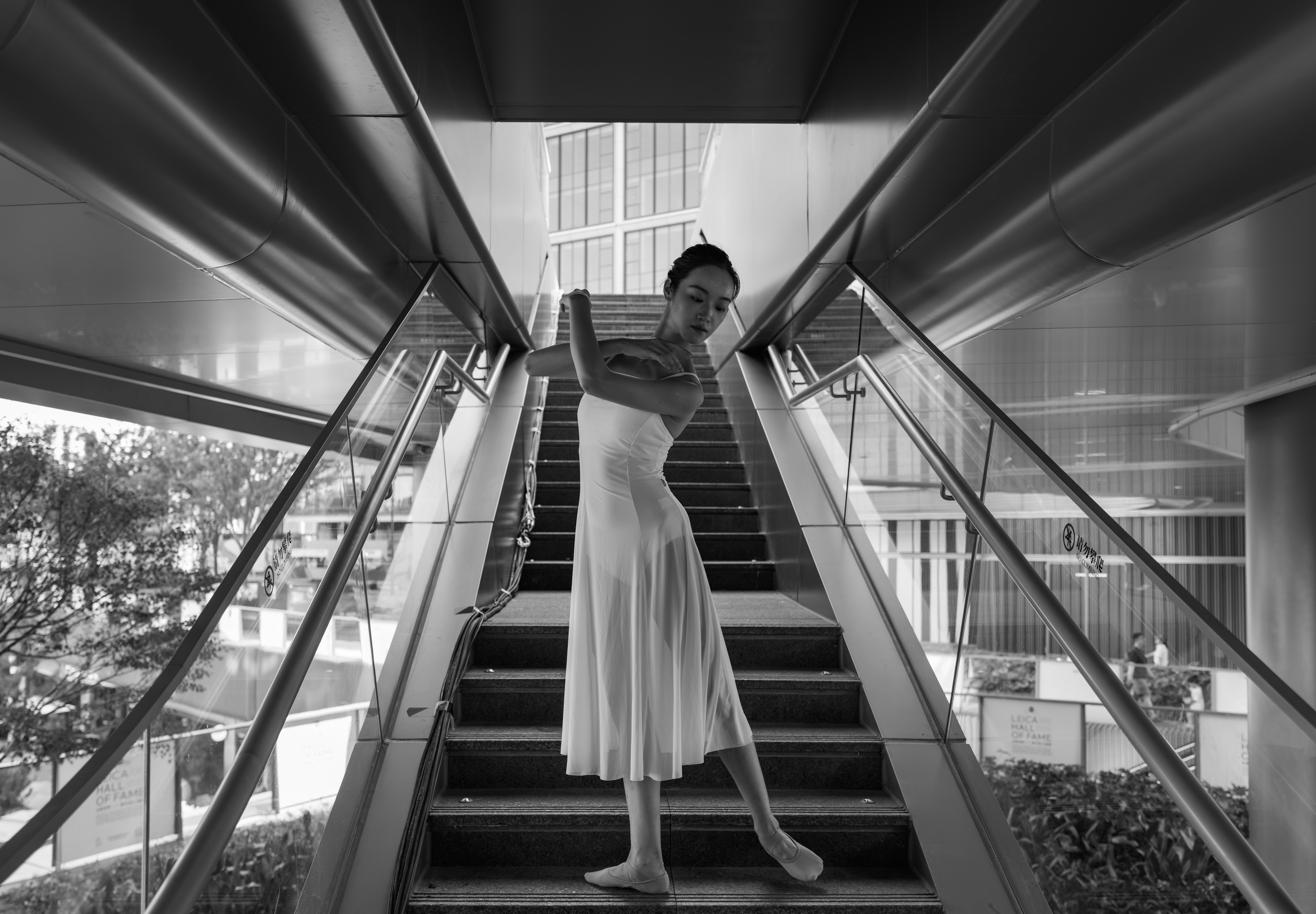 Silhouette on the Grand Stair: A Portrait beneath Steel and Glass