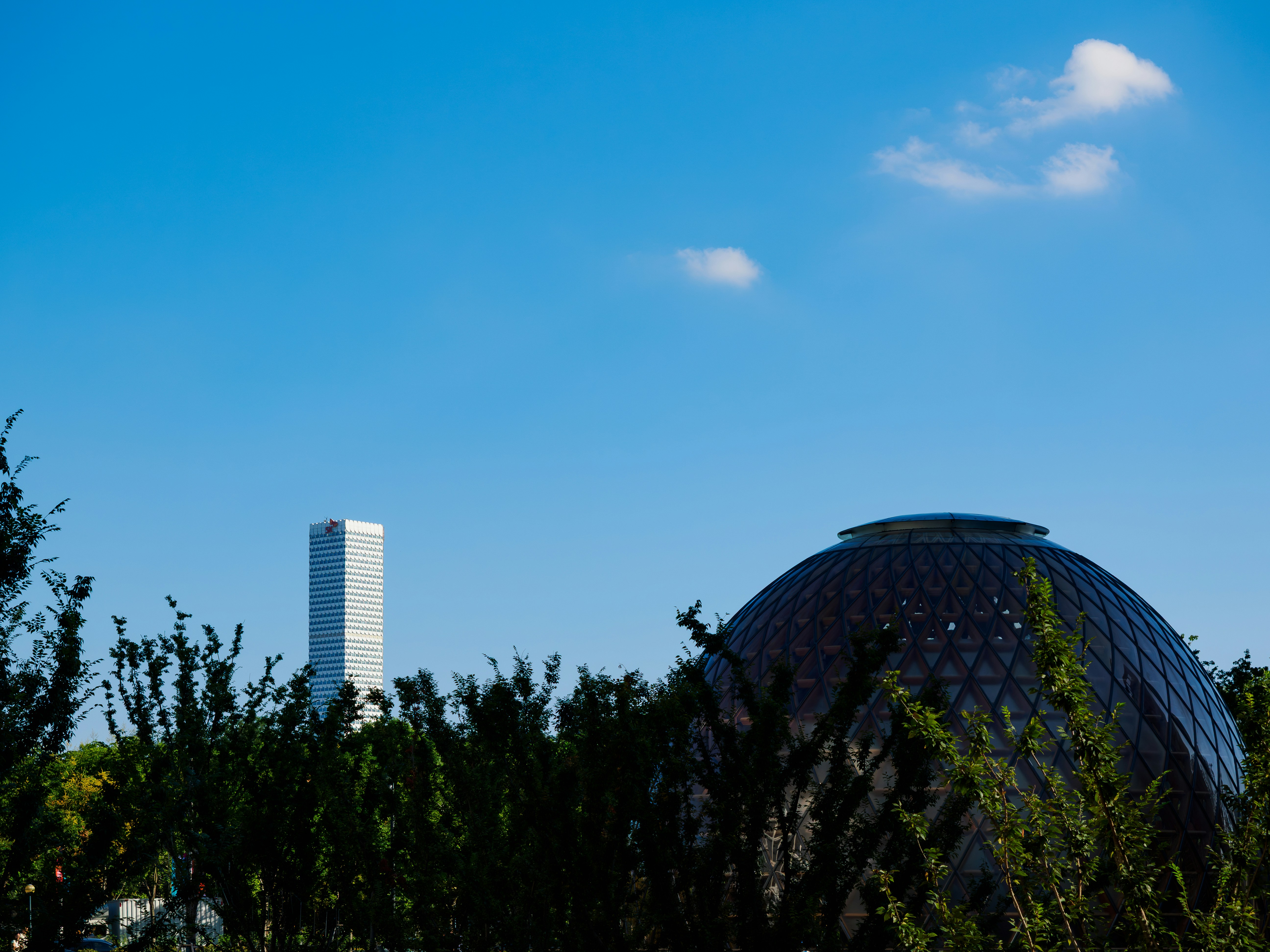 Cityscape with a tall rectangular building and a geodesic dome peeking over a hedge, under a bright blue sky.