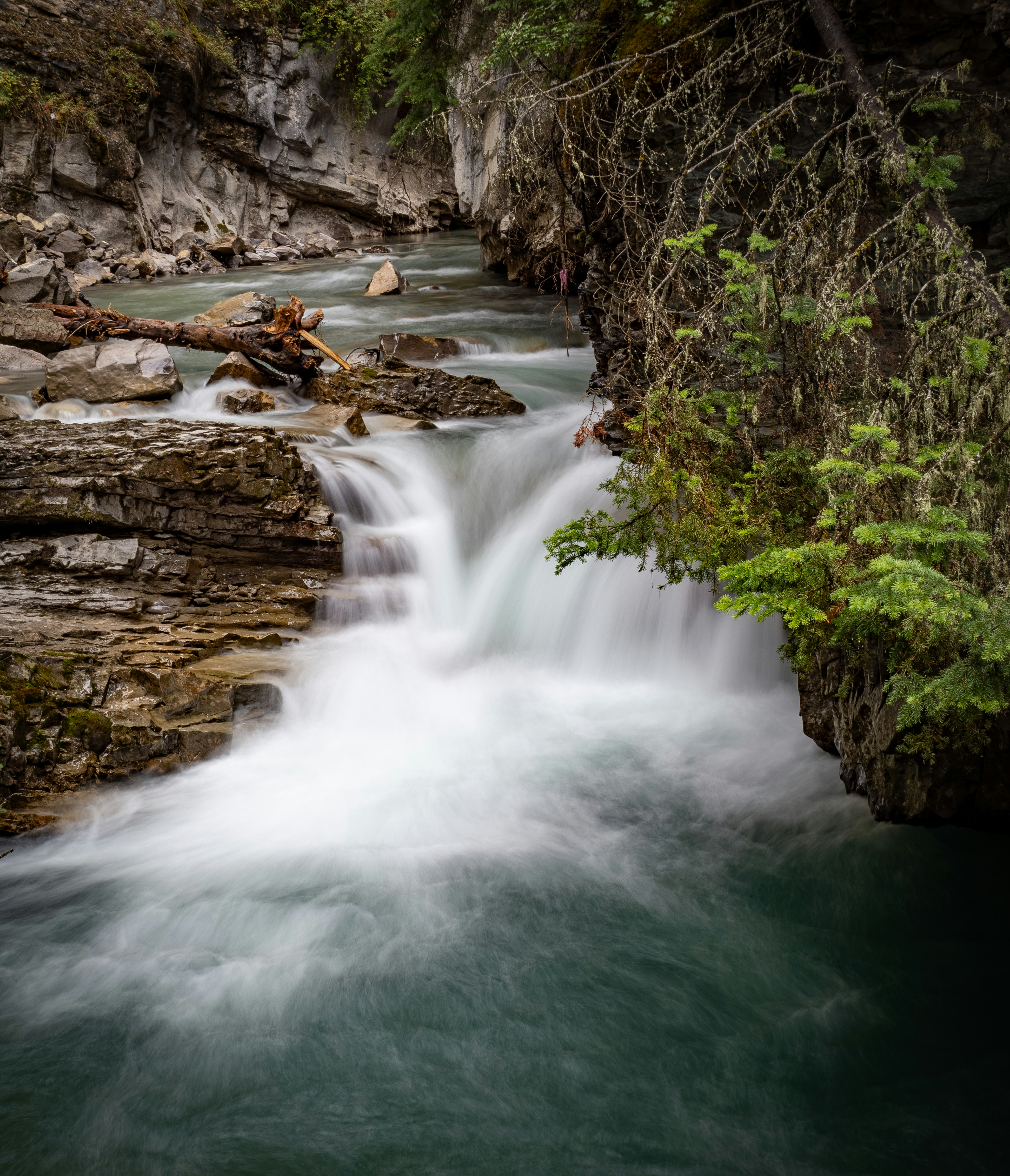 Water pours through a rocky gorge, turning silky as it cascades over layered stone into a turquoise pool; lush evergreens frame the narrow waterfall.
