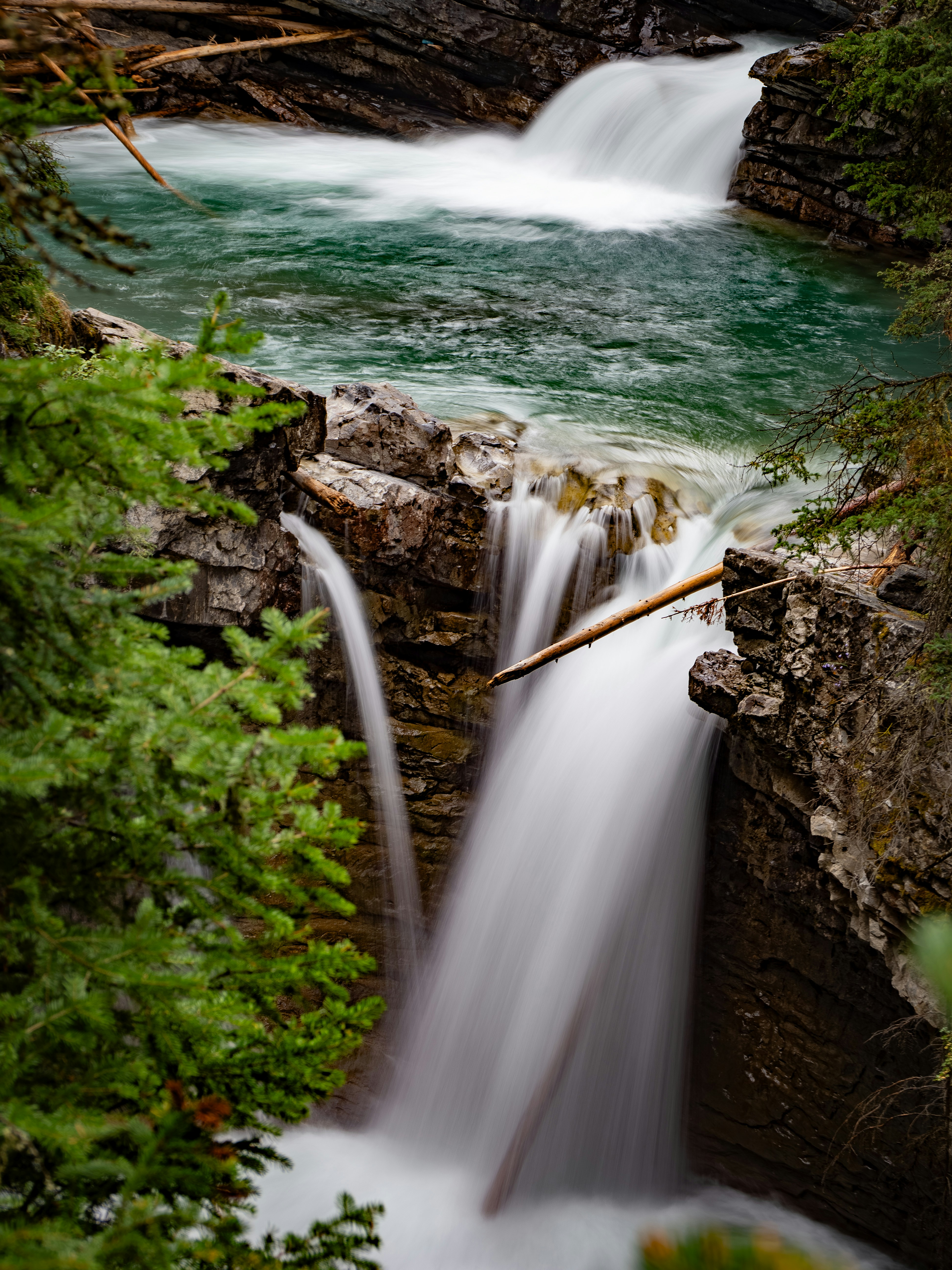 Turquoise river tumbles over rugged granite steps, creating a pair of silky waterfalls framed by lush evergreen branches in a narrow canyon.