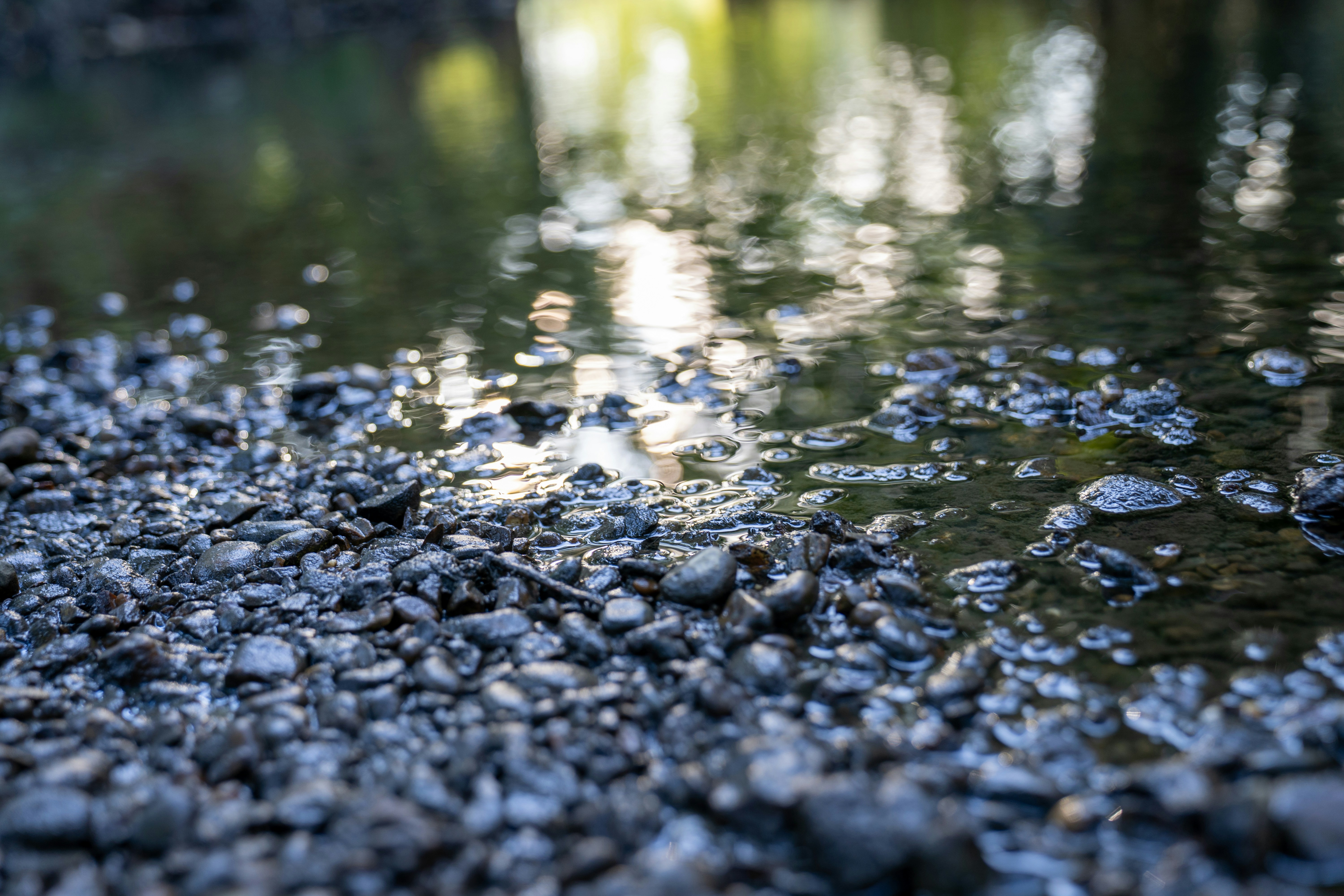 Pebble Ripple at the Water’s Edge