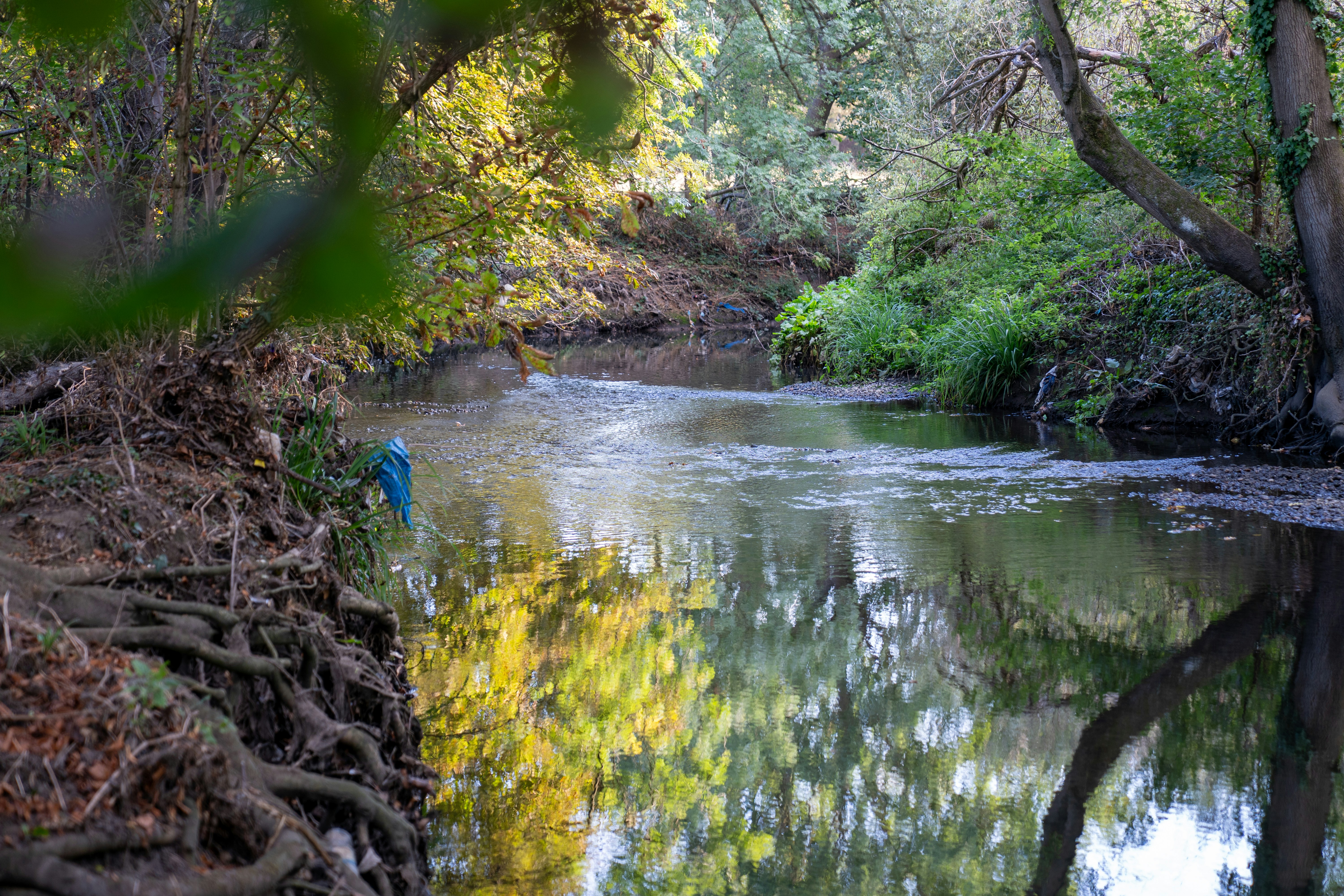 Rippling Riverside Glow: Reflections and Quiet Currents