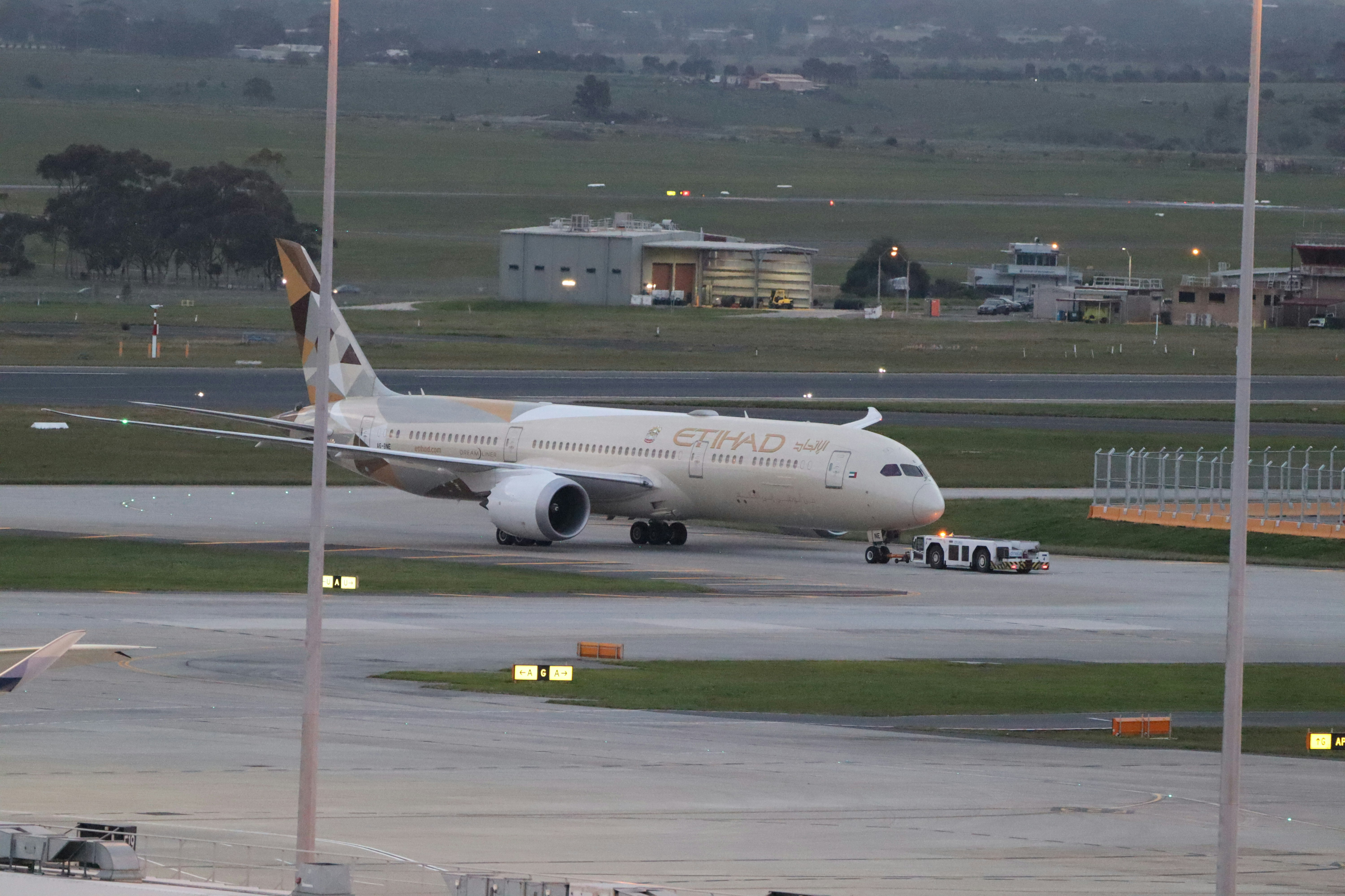 Etihad A350 on the Taxiway Framed by a Calm Airport Scene