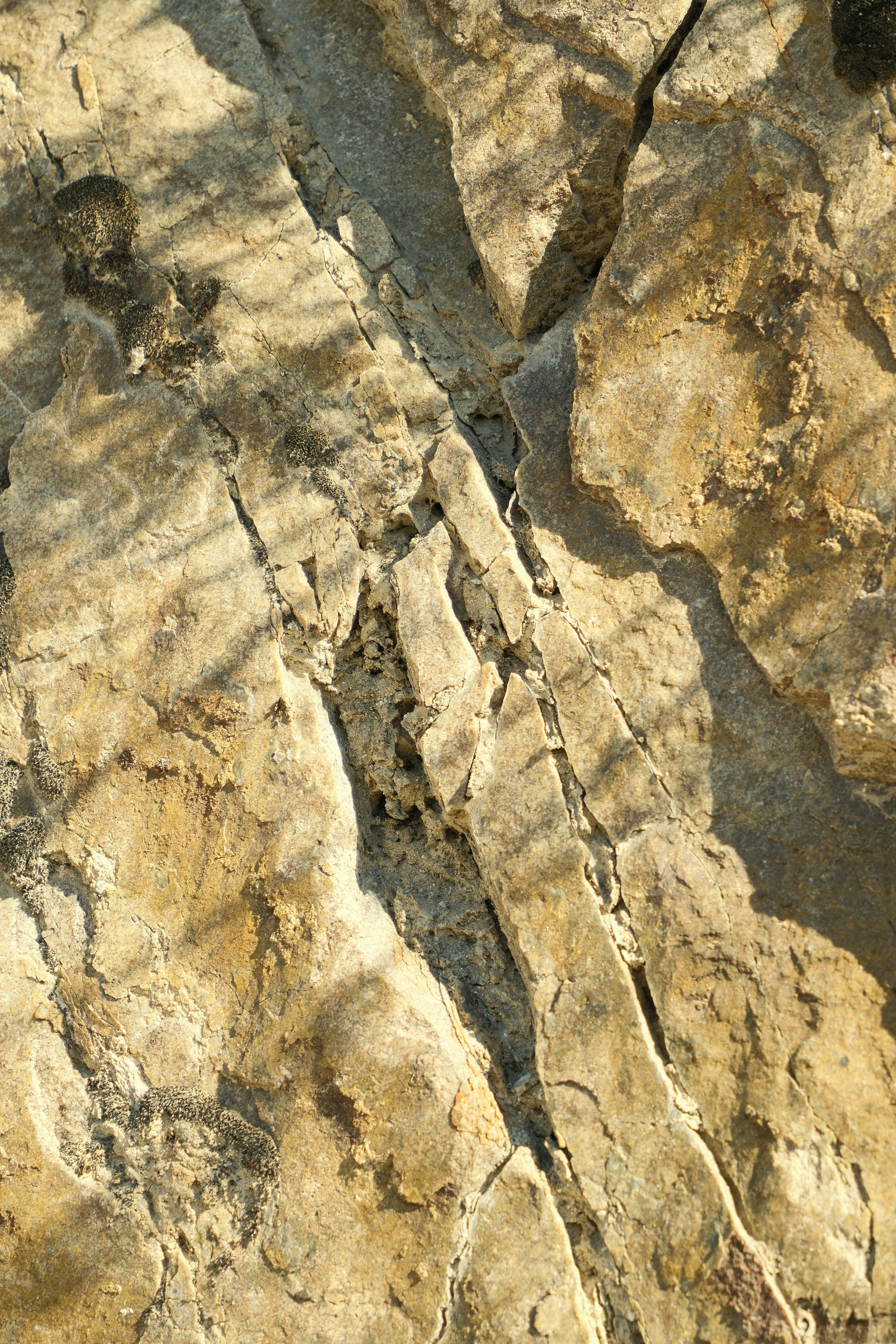 Cracked sandstone veins: the quiet geometry of weathered rock
