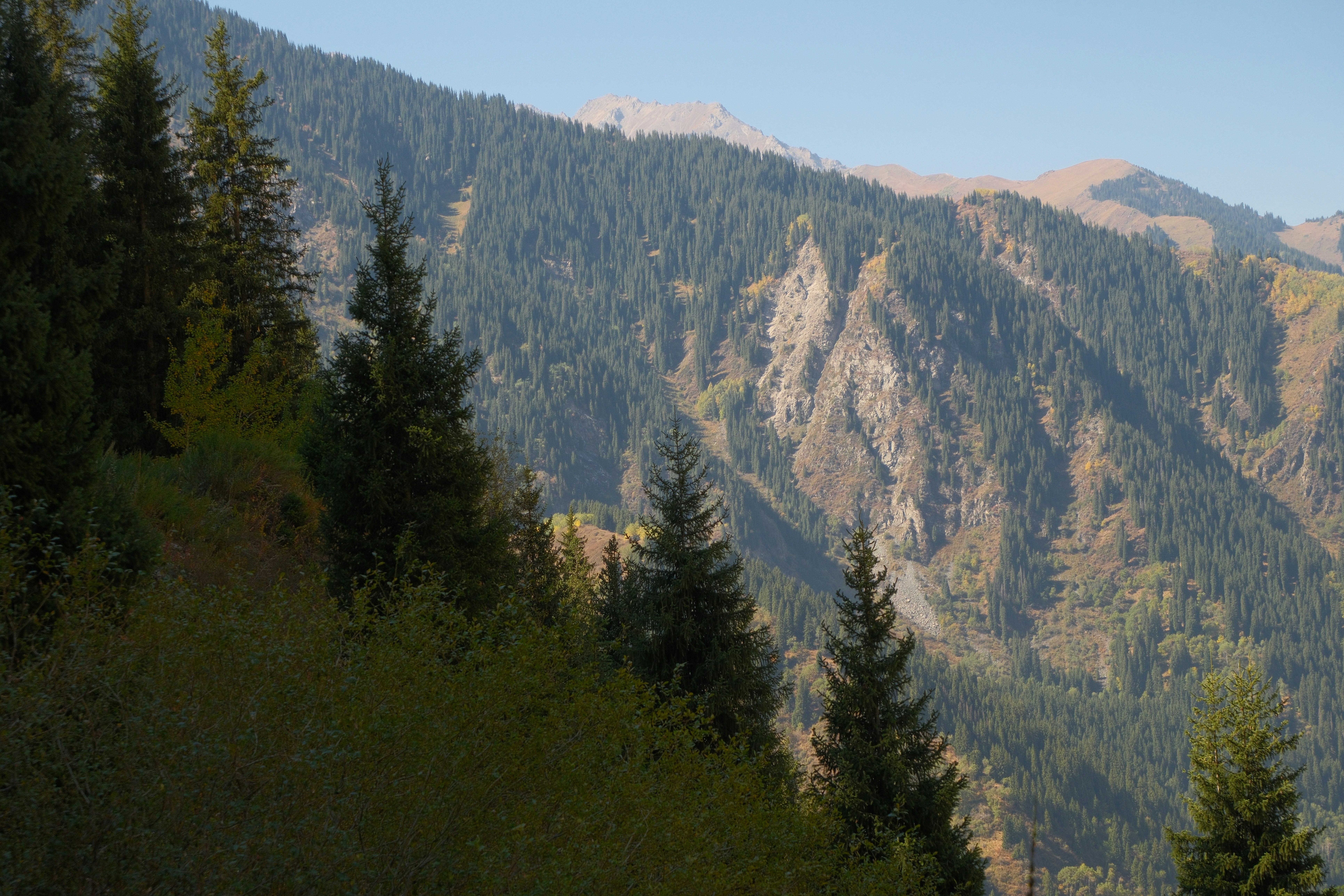 Forest-shadowed Ridge under a Clear Mountain Sky
