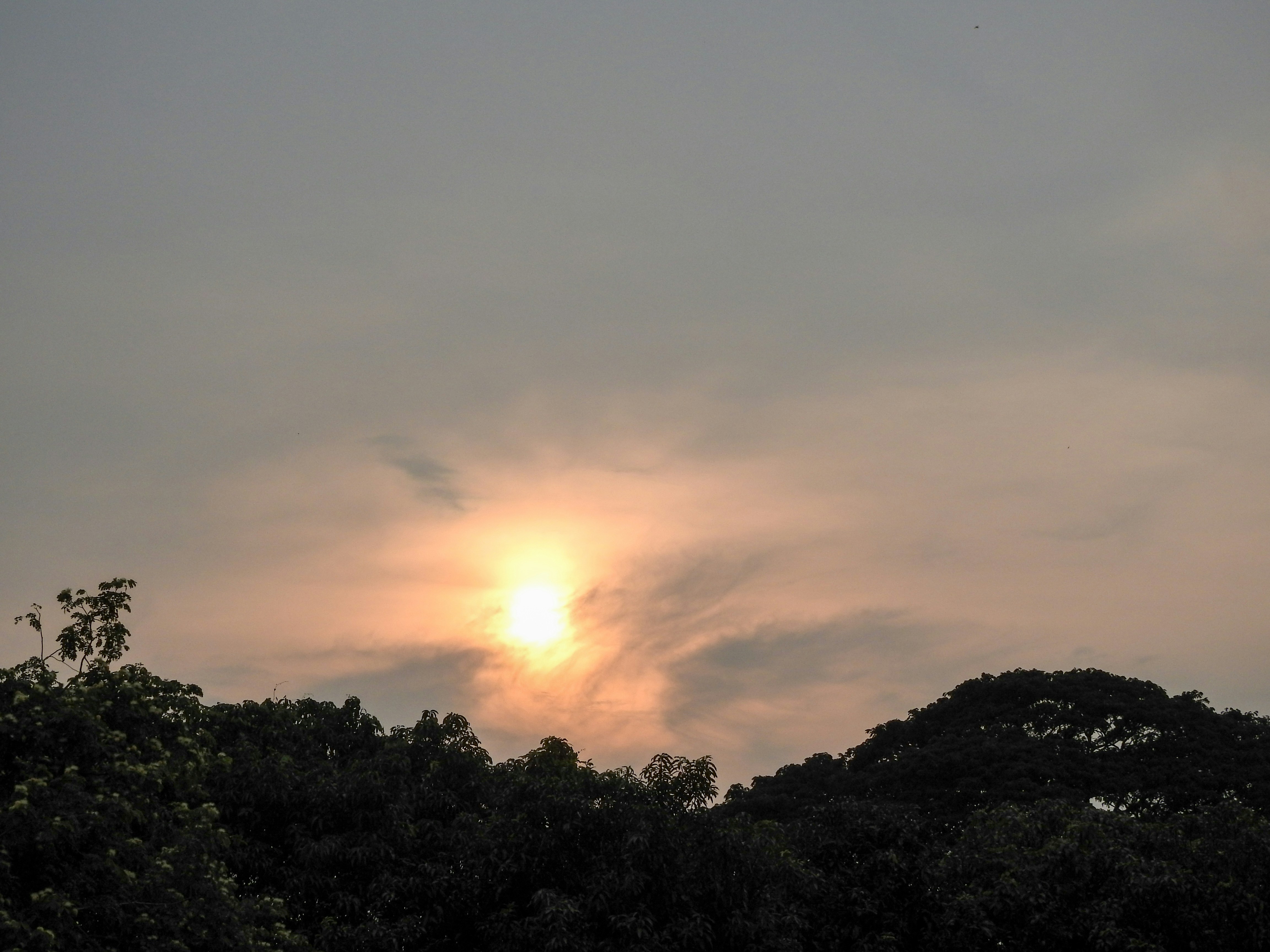 Golden Hour Sky: Sun Diffused Through Gentle Dawn Clouds