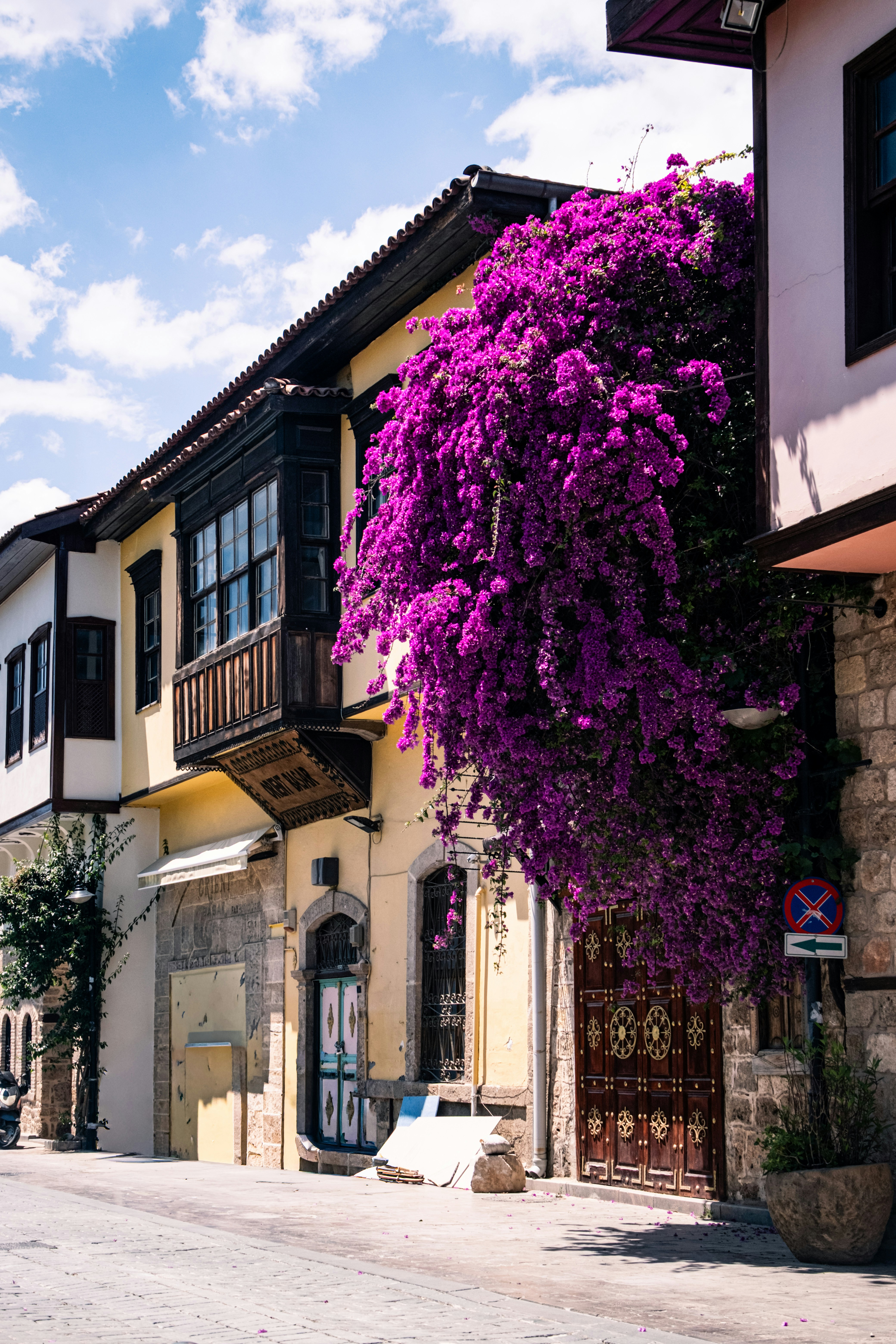 Bougainvillea Cascade over a Timeless Street Facade