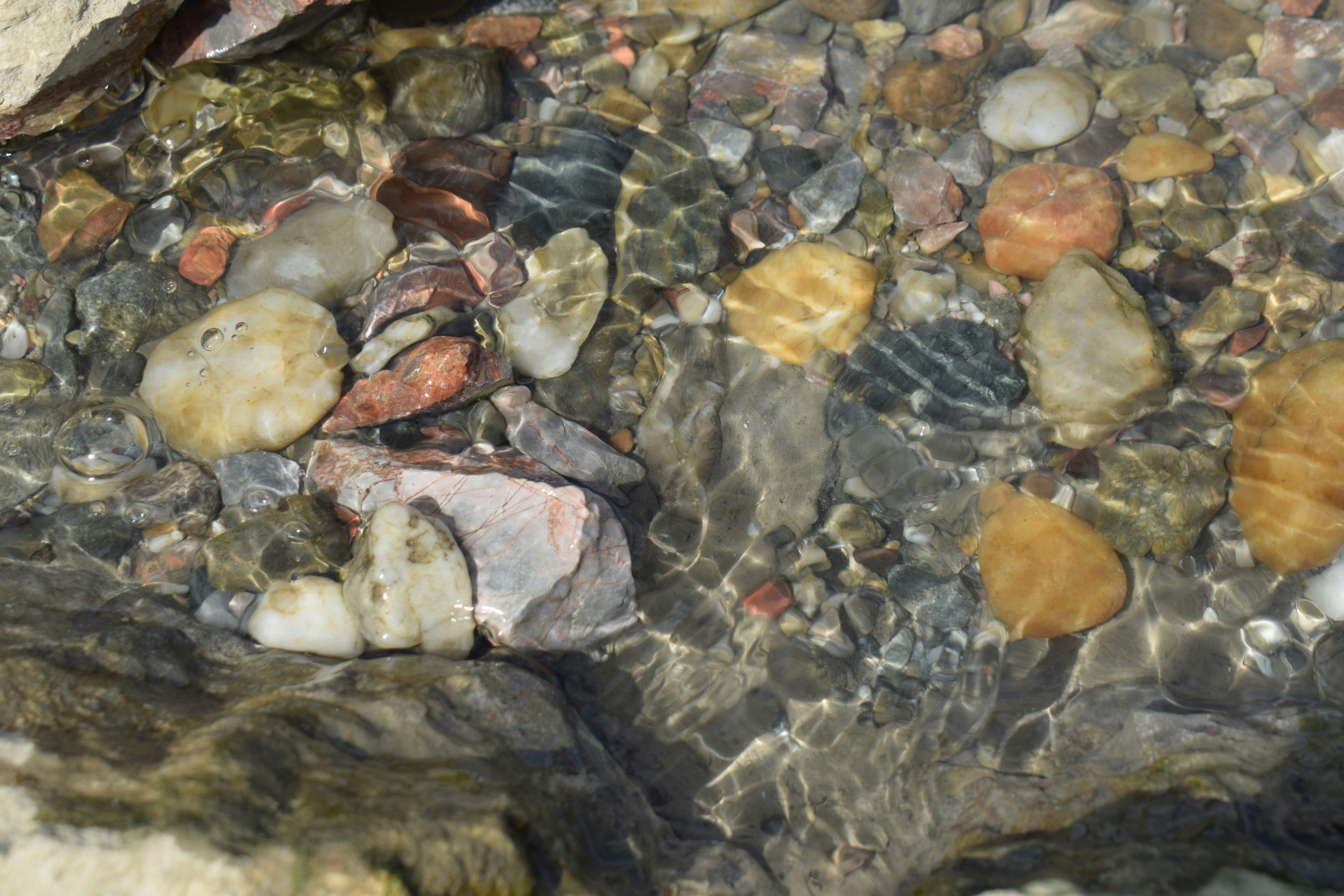 Pebble Mosaic in Quiet Tide