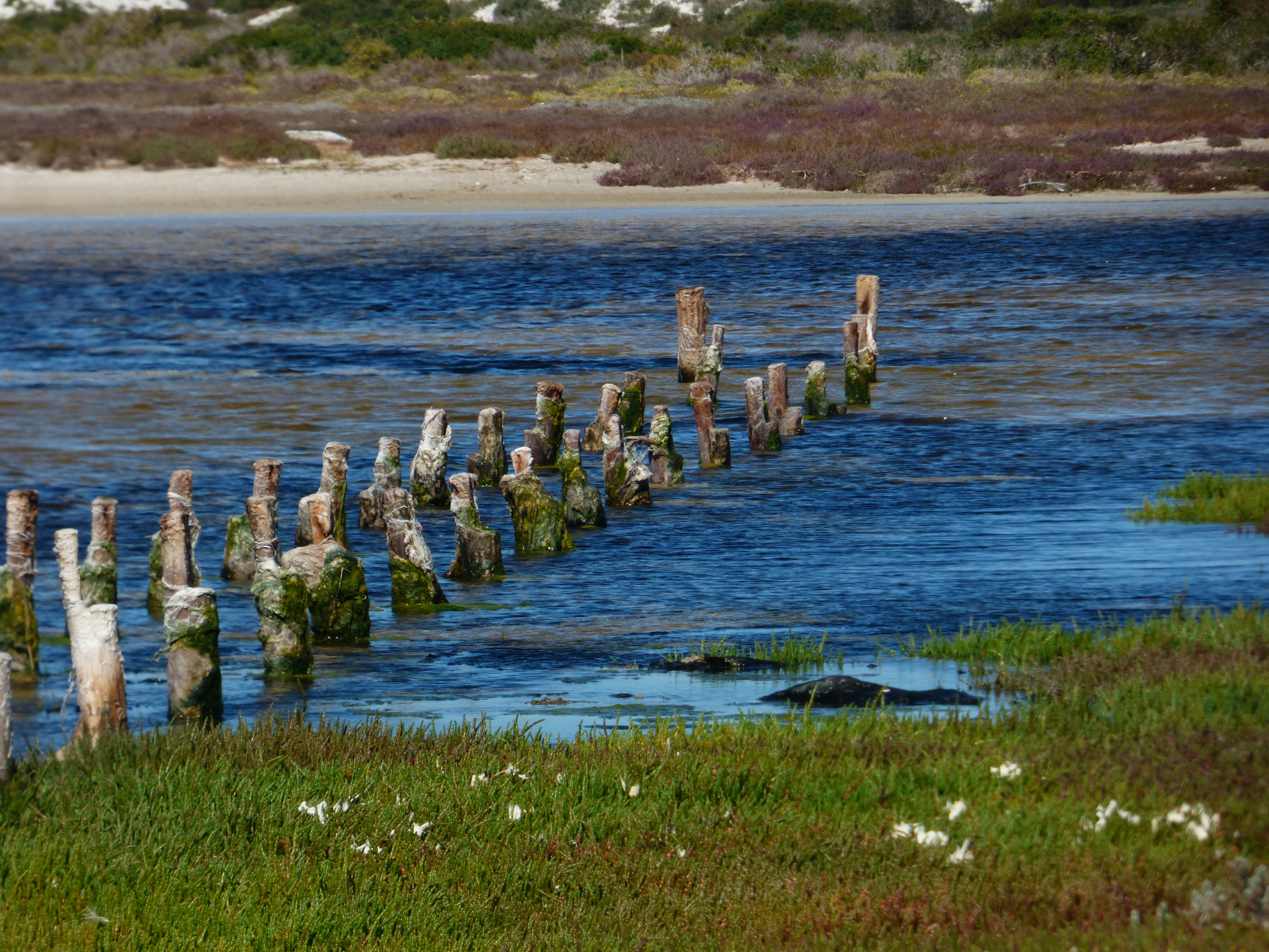 Line of Weathered Piers Reaching the Quiet Sea