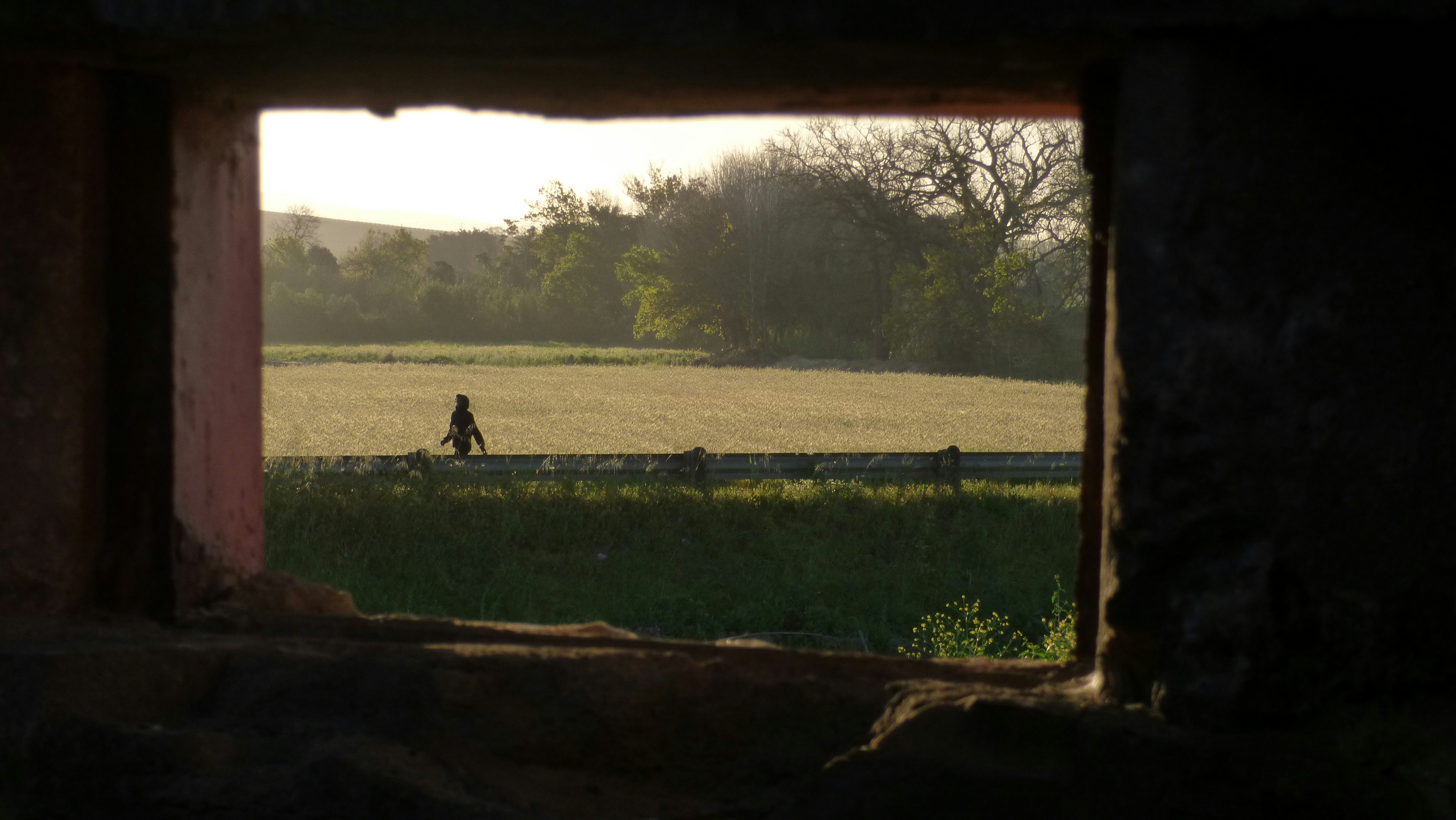 Silhouette in the Field: View Through a Rustic Frame