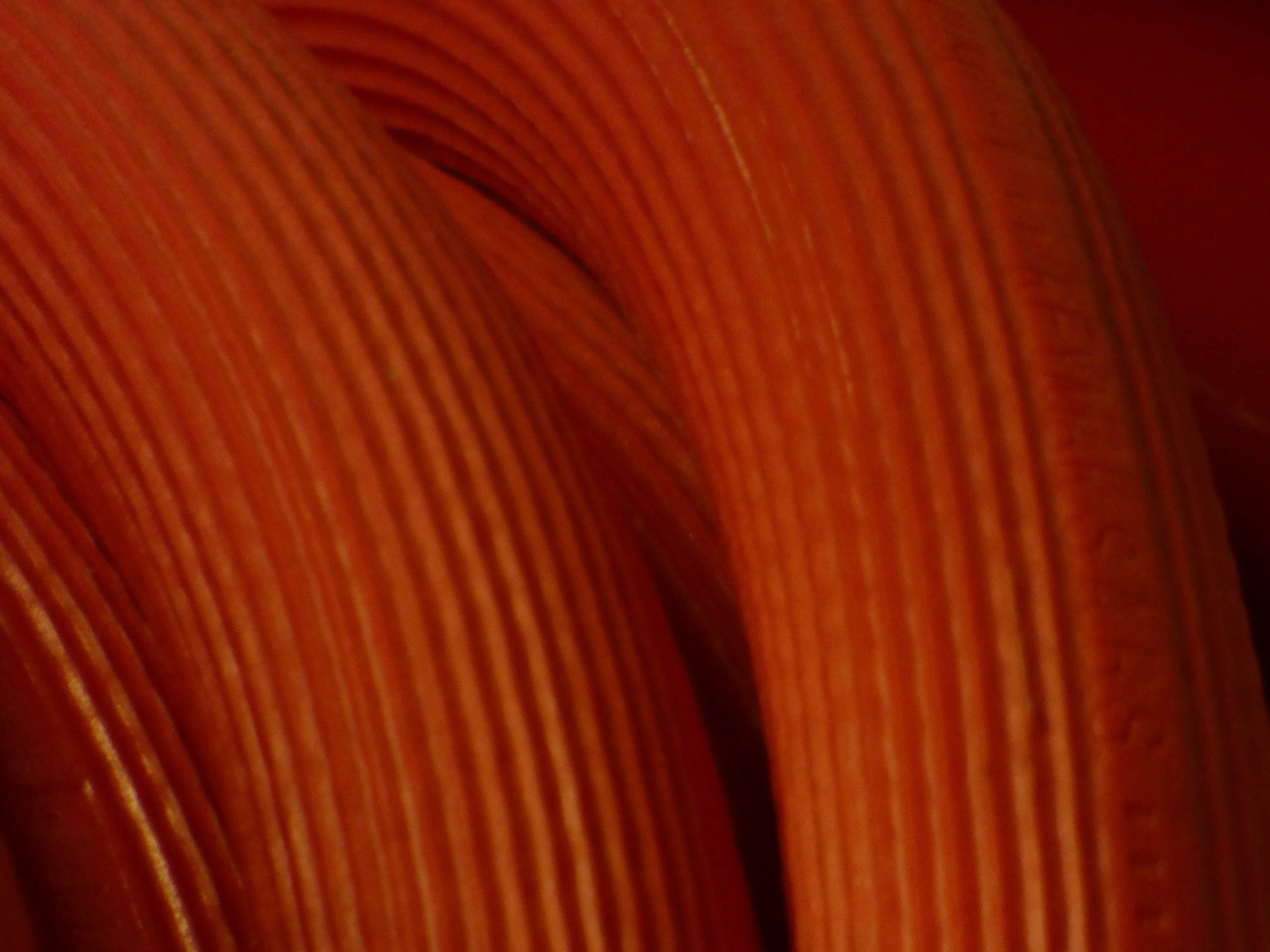 Coiled Orange Tubes: Ridges of Color and Light