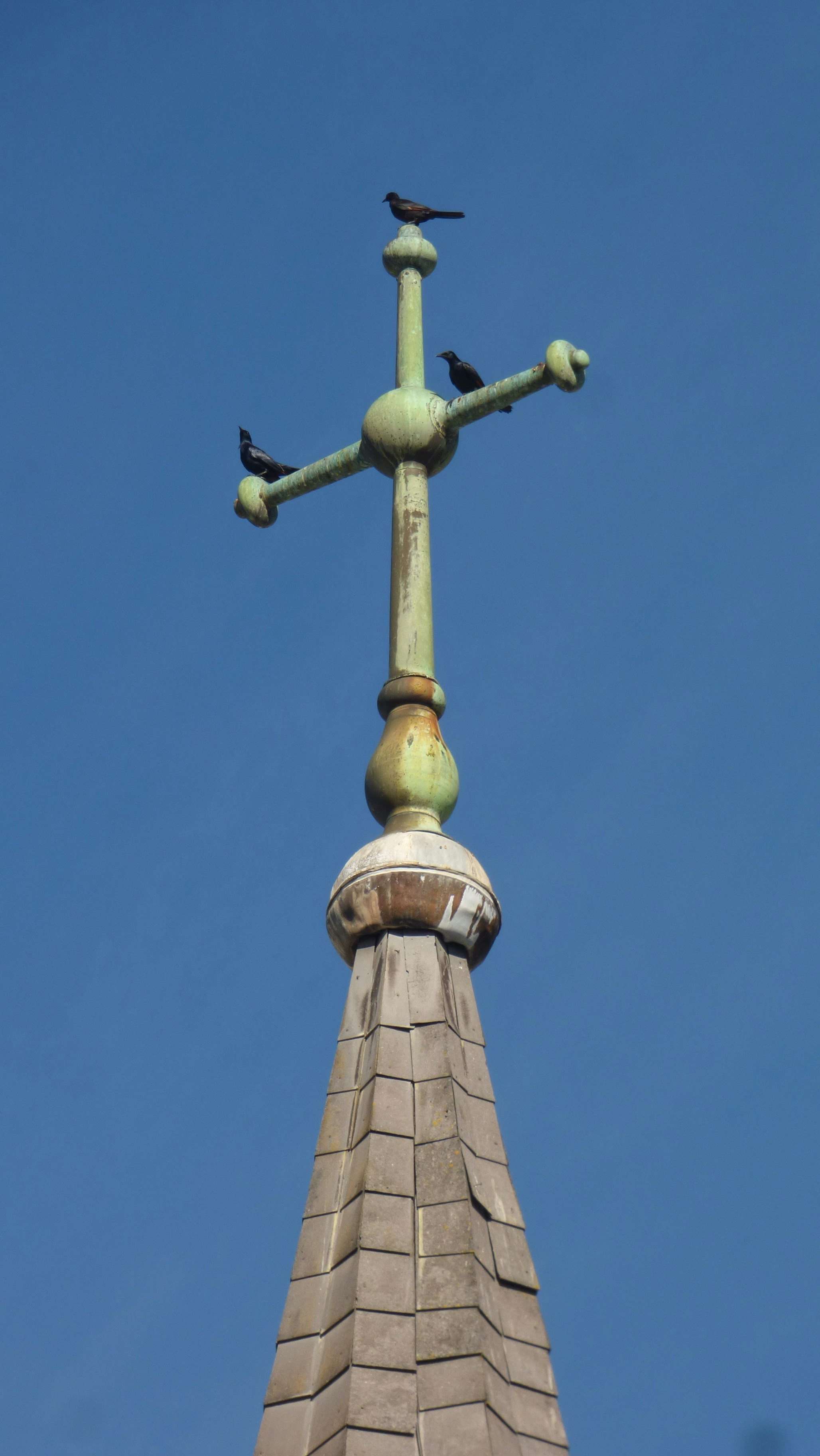 Path to the Cross: A weathered spire crowned by perched birds
