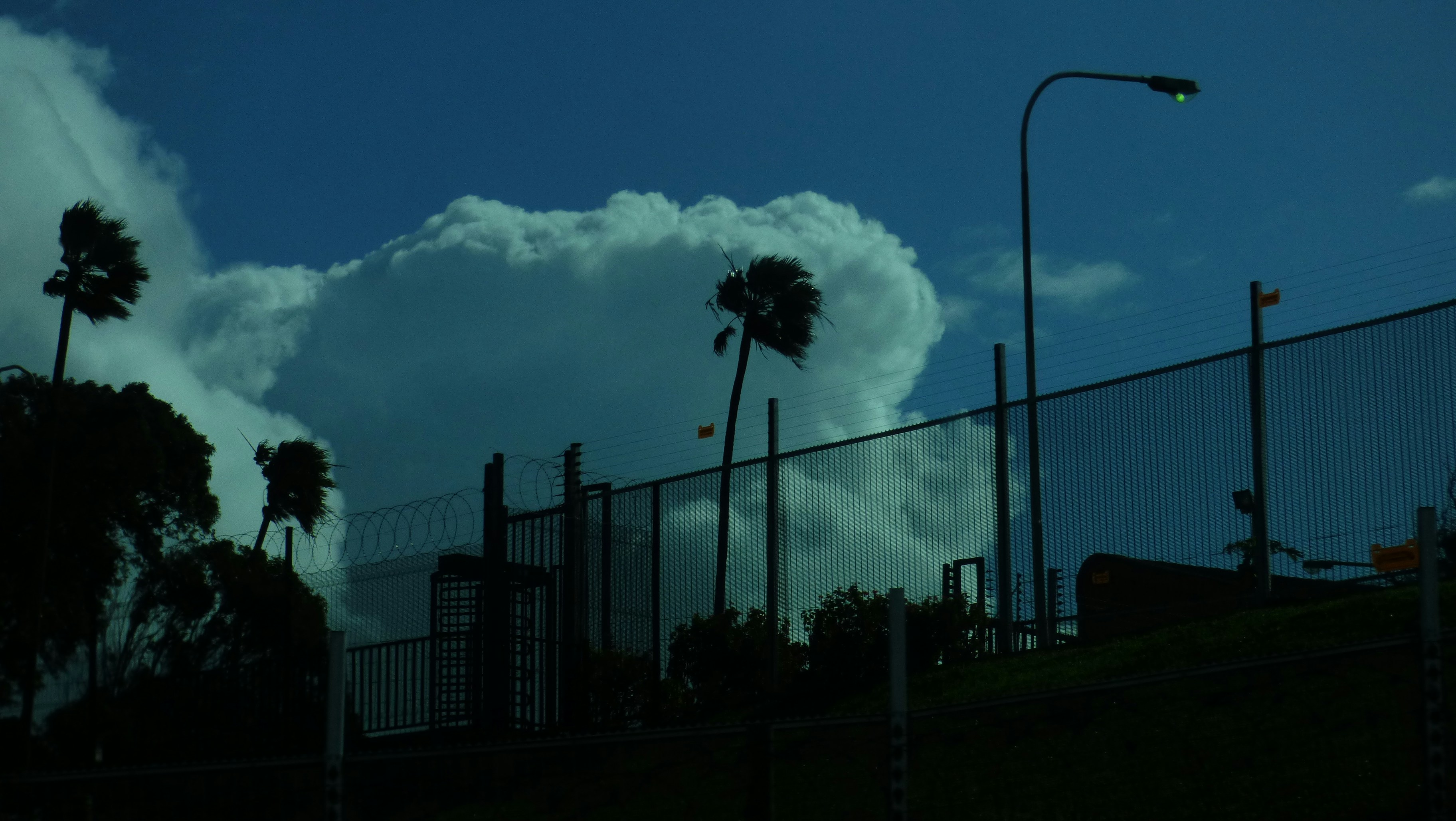 Fence and silhouetted palms Under a Wide Sky