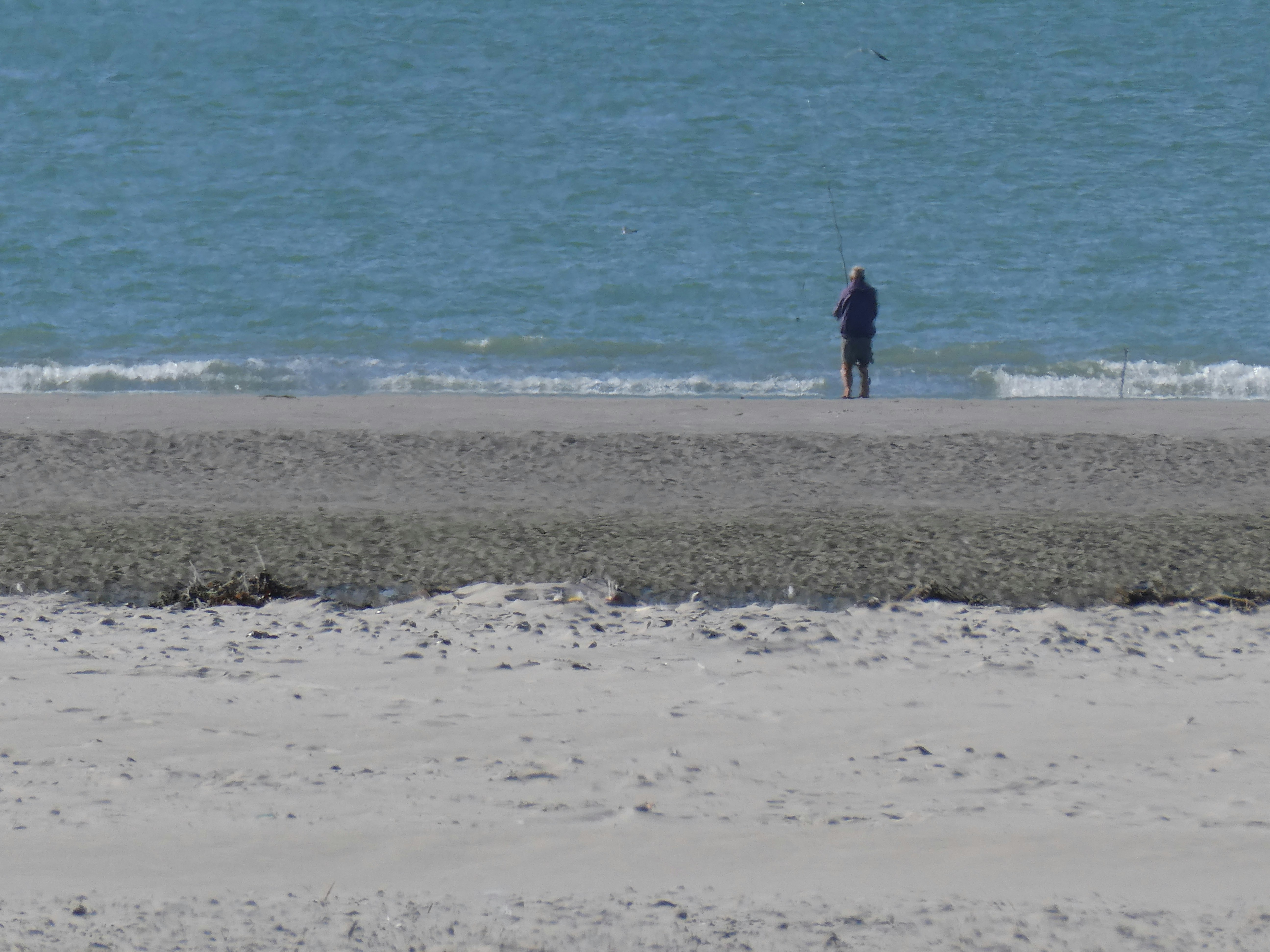 Solitary Fisher at the Shoreline
