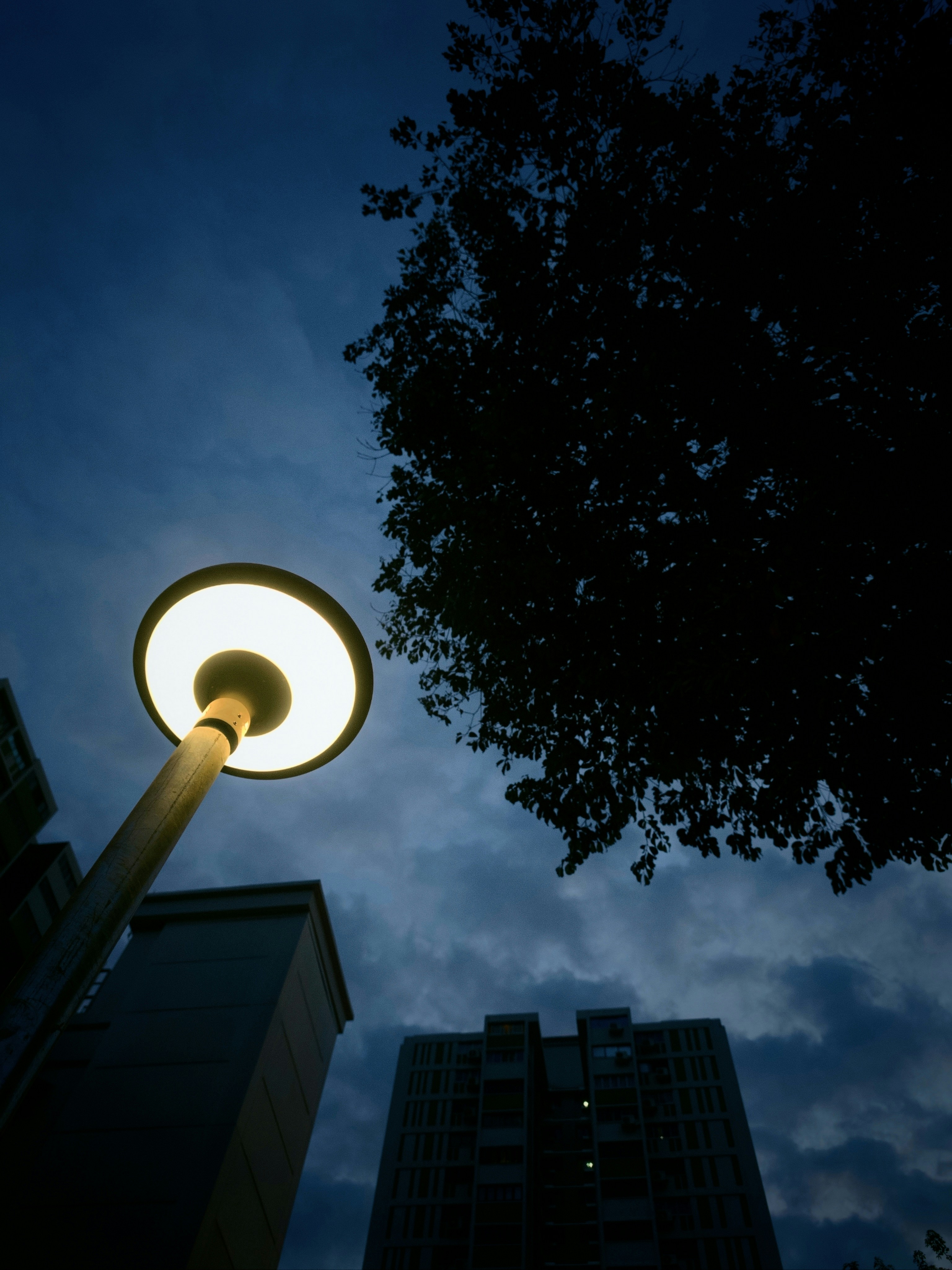 Bright circular streetlamp rising beside a building against a blue evening sky with a silhouetted tree and high-rise in the background.