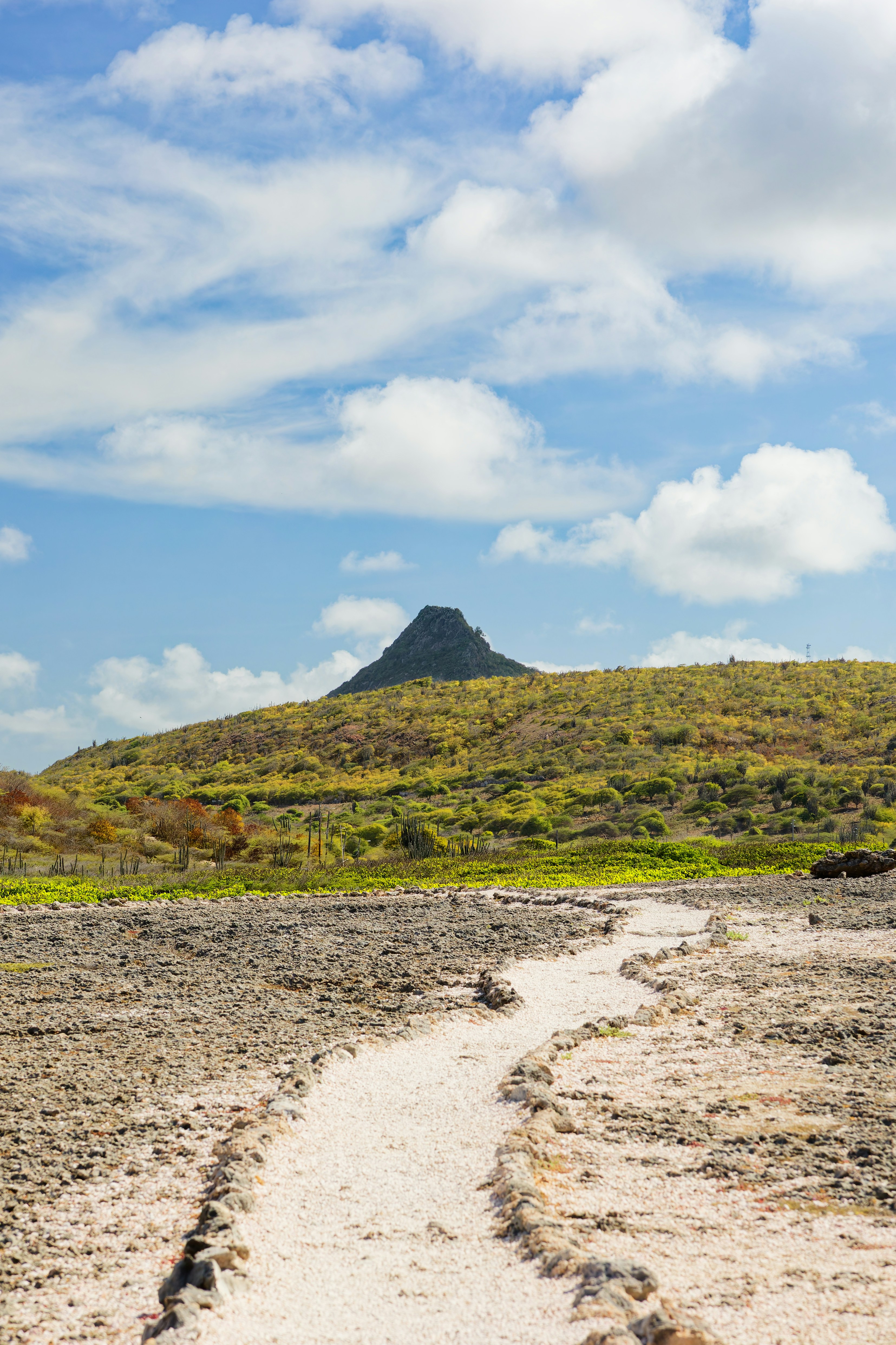 Desert Crown: A single peak above windswept scrub under a bright afternoon sky