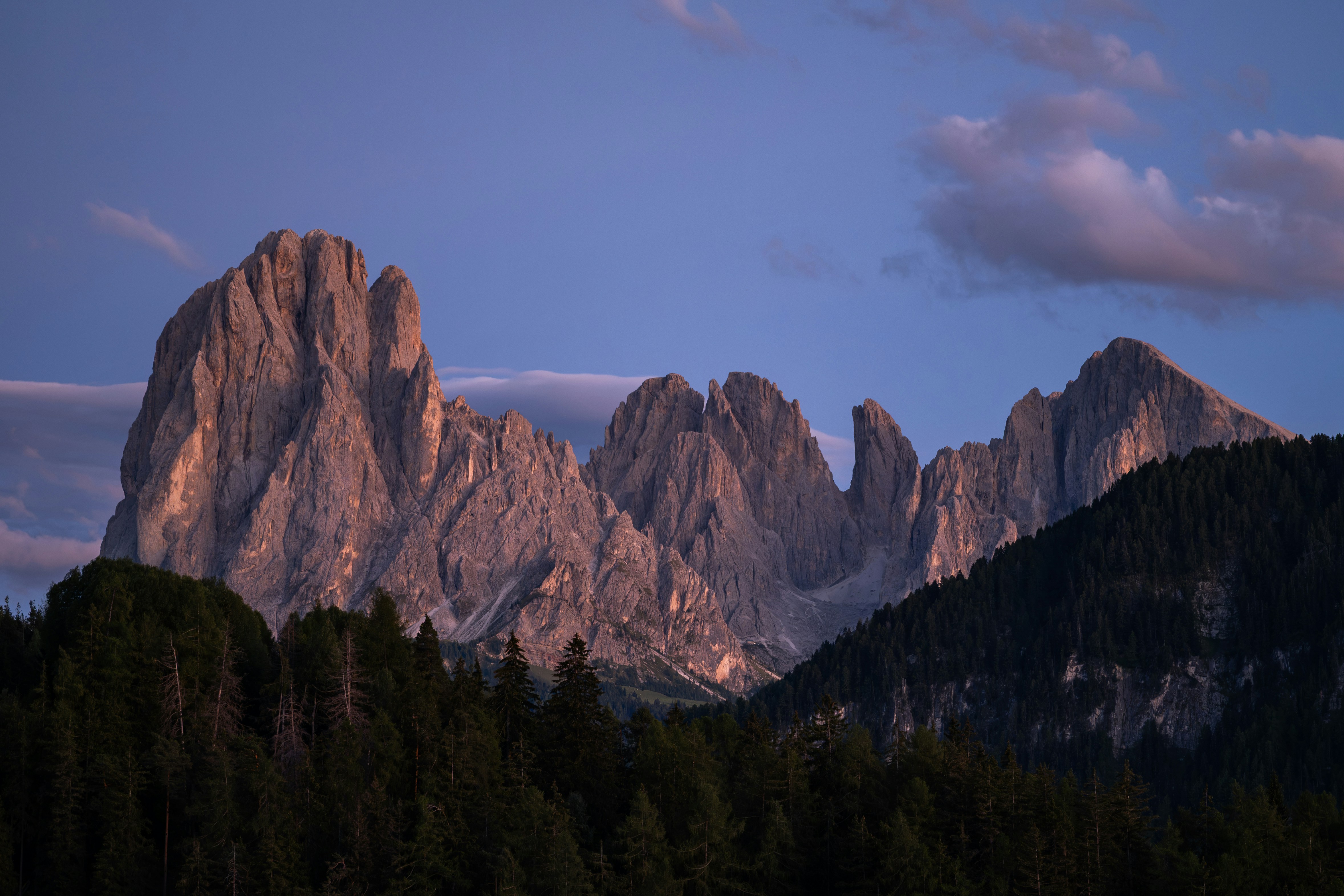 Alpine jagged peaks rise above a dark forest at dusk, with soft clouds and pink-tinged light on the rock faces.