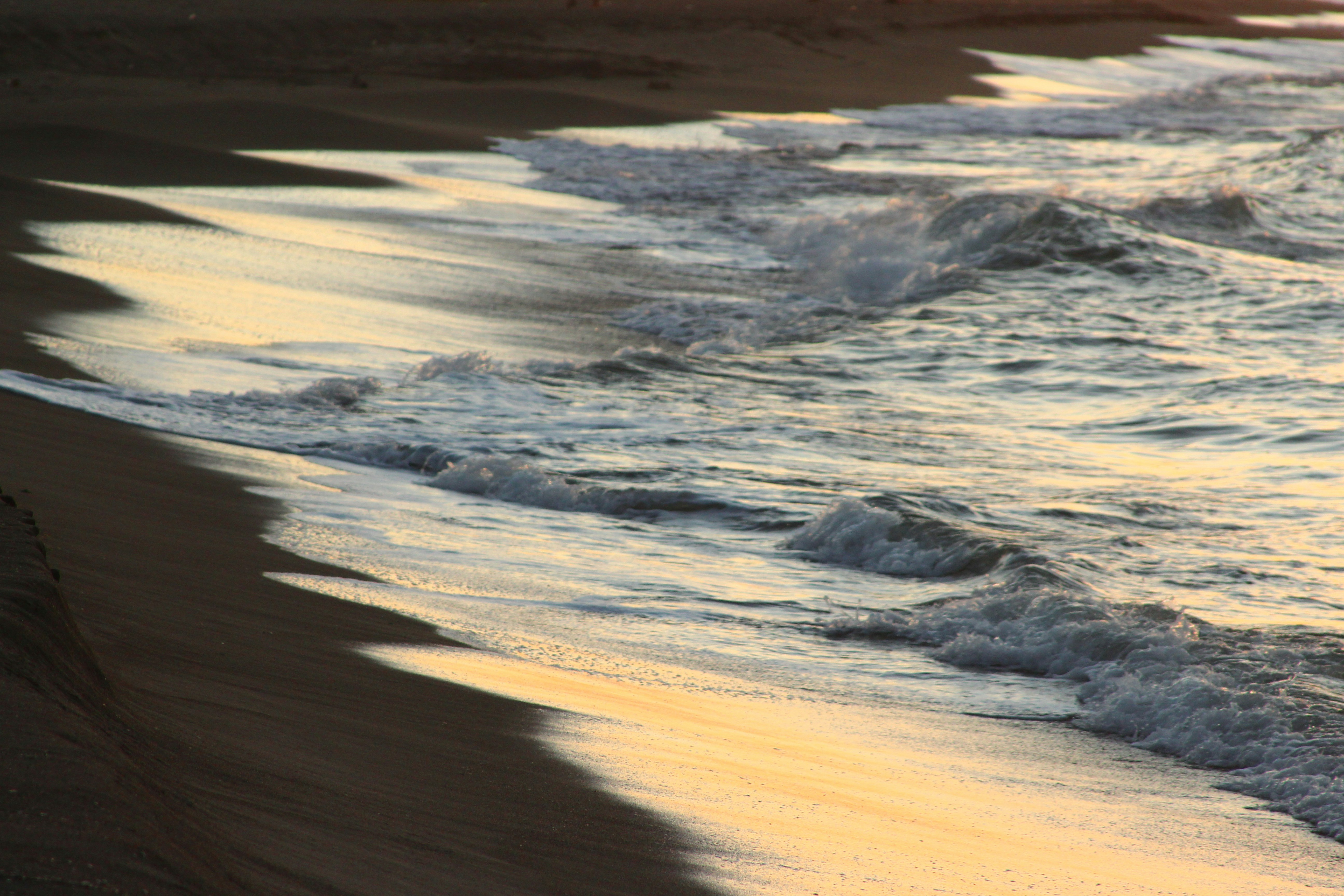 Golden Shorelines: Sunlit Crest and Quiet Tide