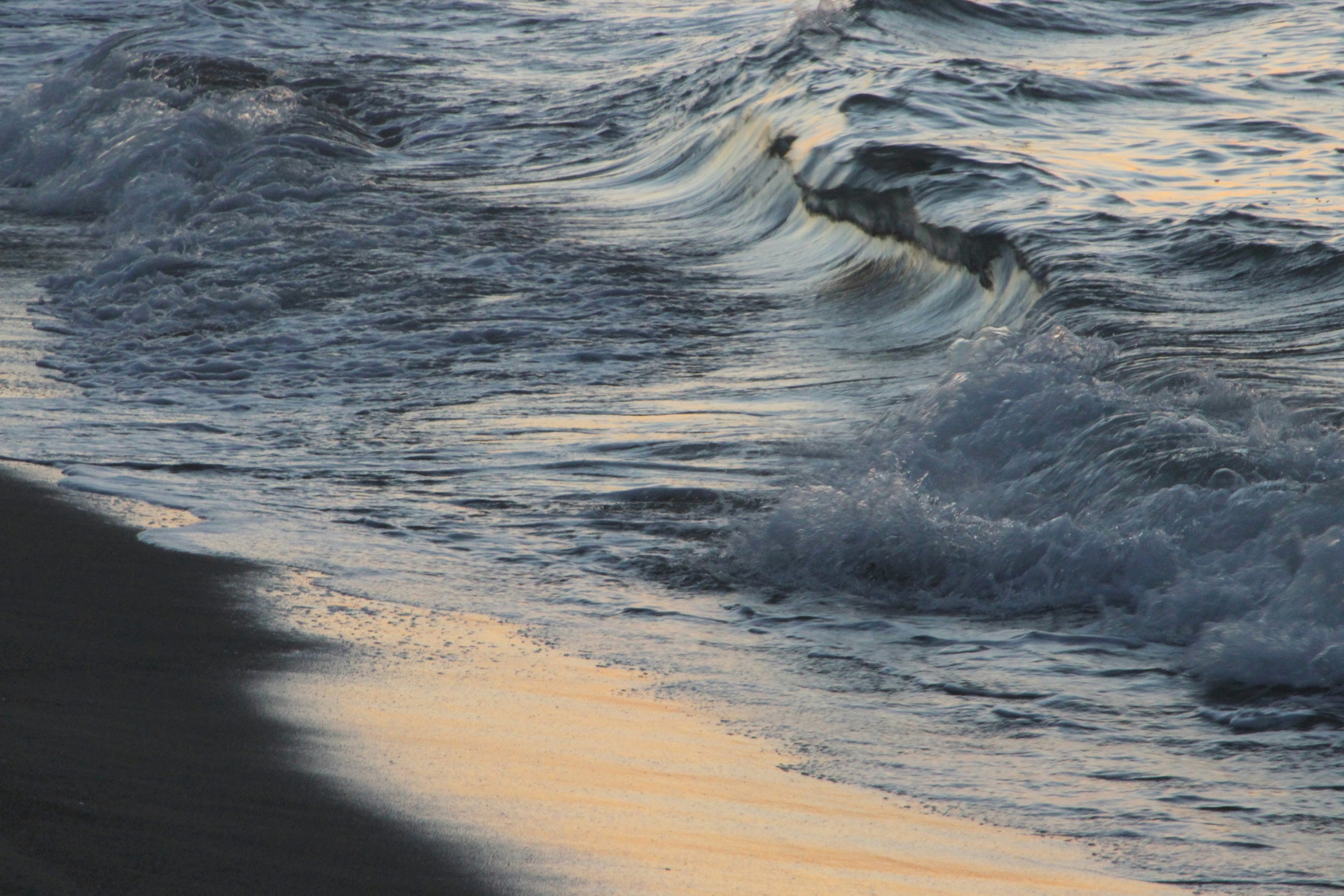 Sunlit Crest: A Quiet Shoreline Kissed by Wavelets