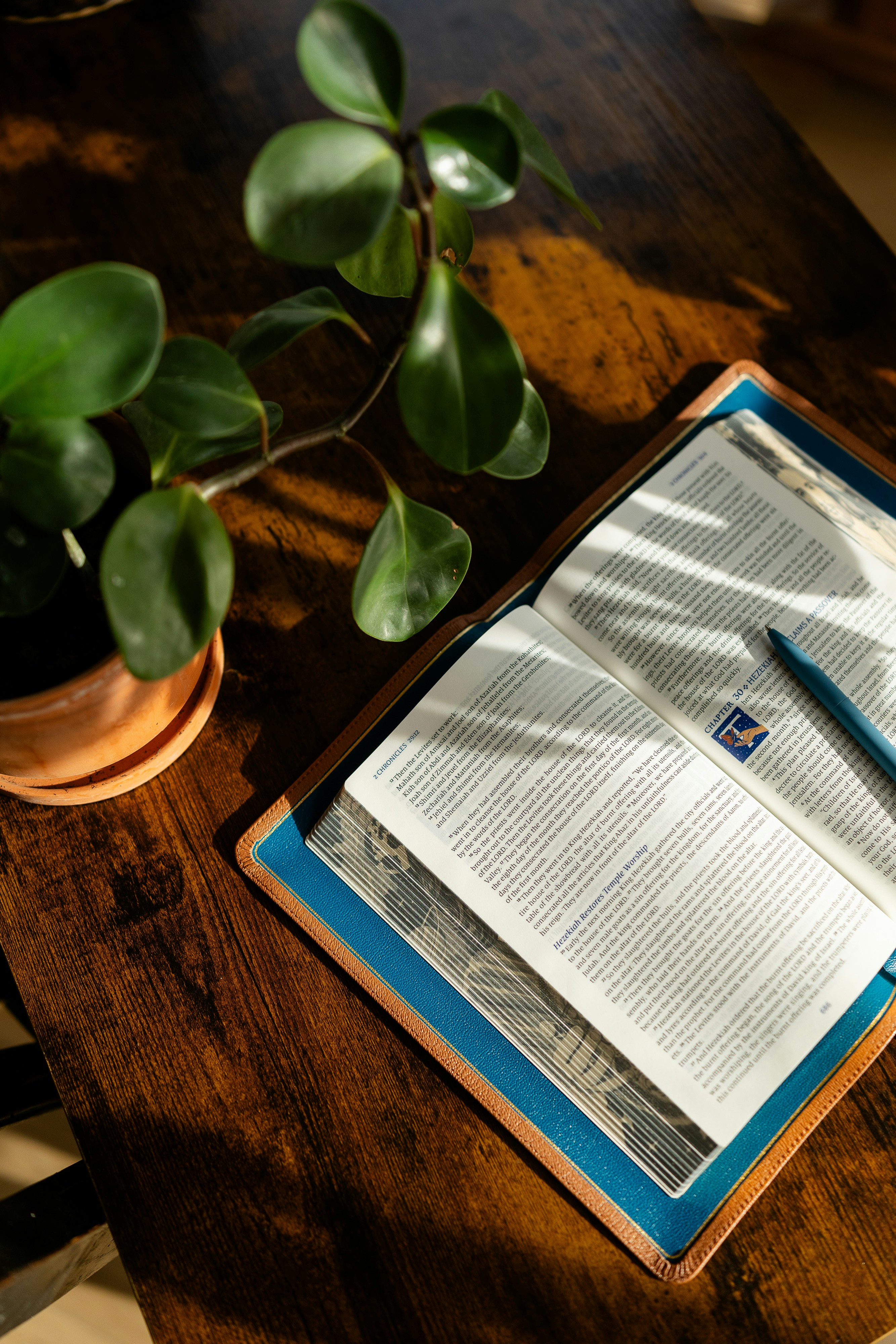 Open Bible on a Weathered Desk Beside a Potted Plant