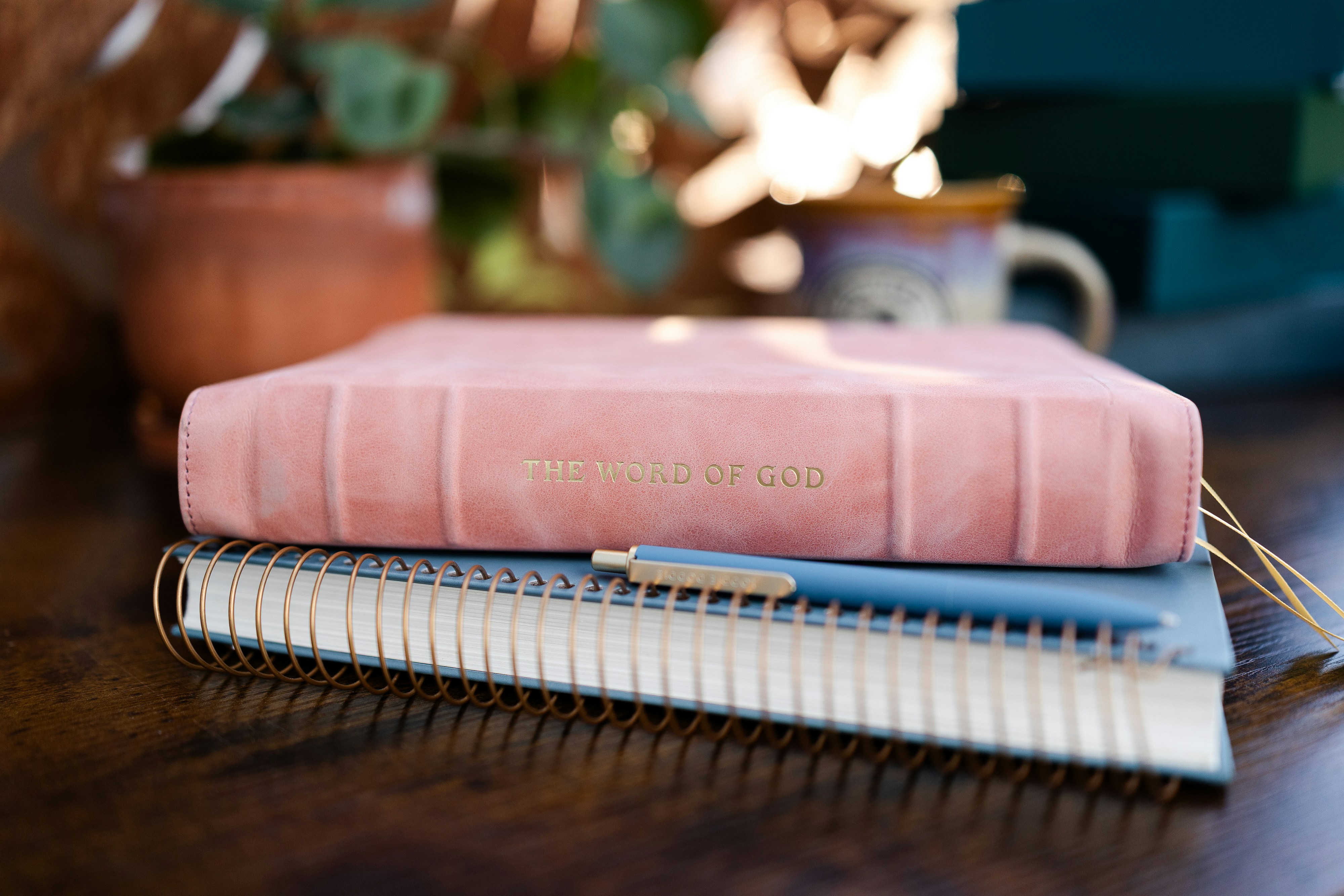Pastel spine, quiet pages: a stack of devotion on wood
