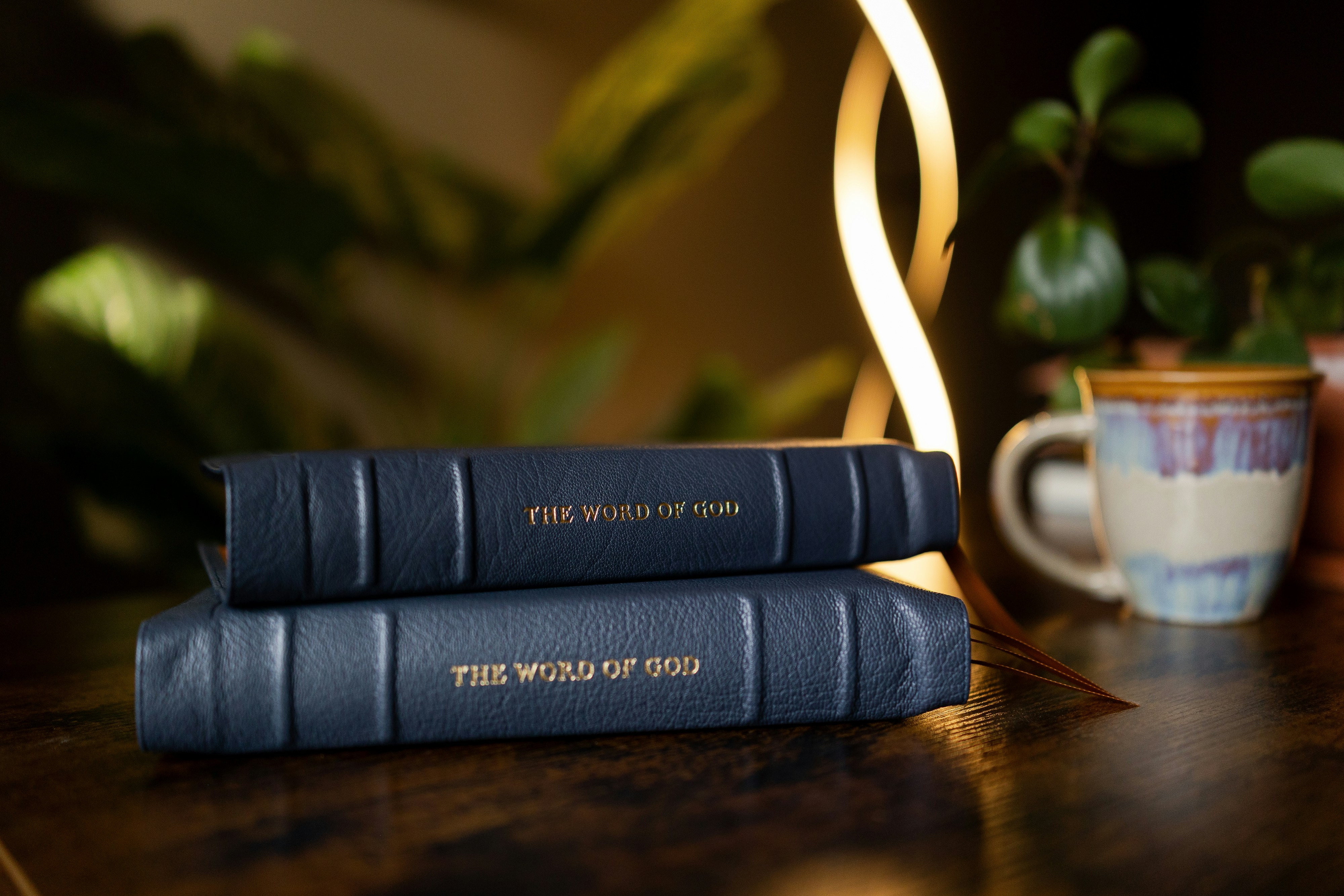 Quiet Couple of Volumes: The Words That Sit Beside a Glowing Twist