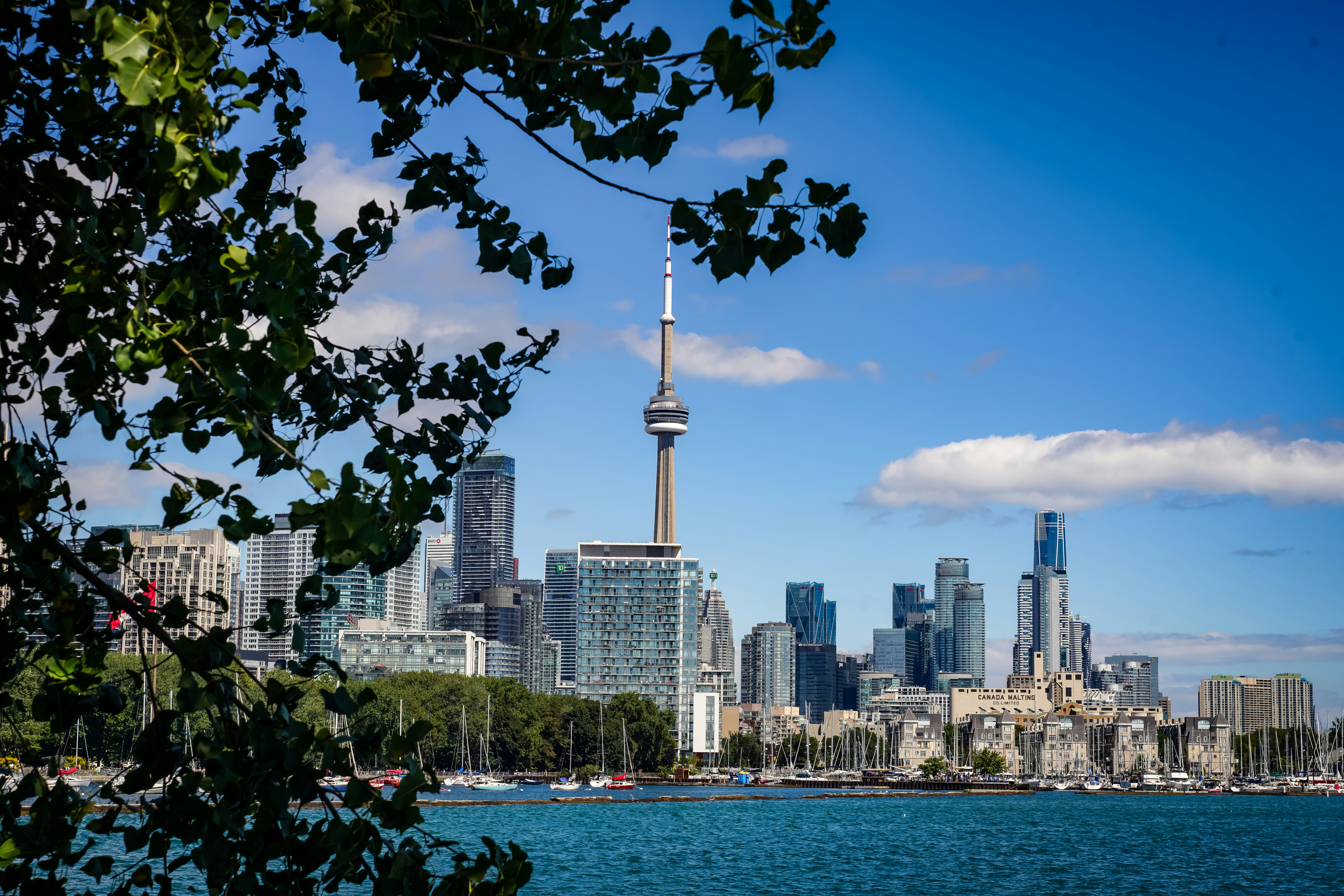 City Lights over the Harbour: Toronto’s Waterfront from the Park