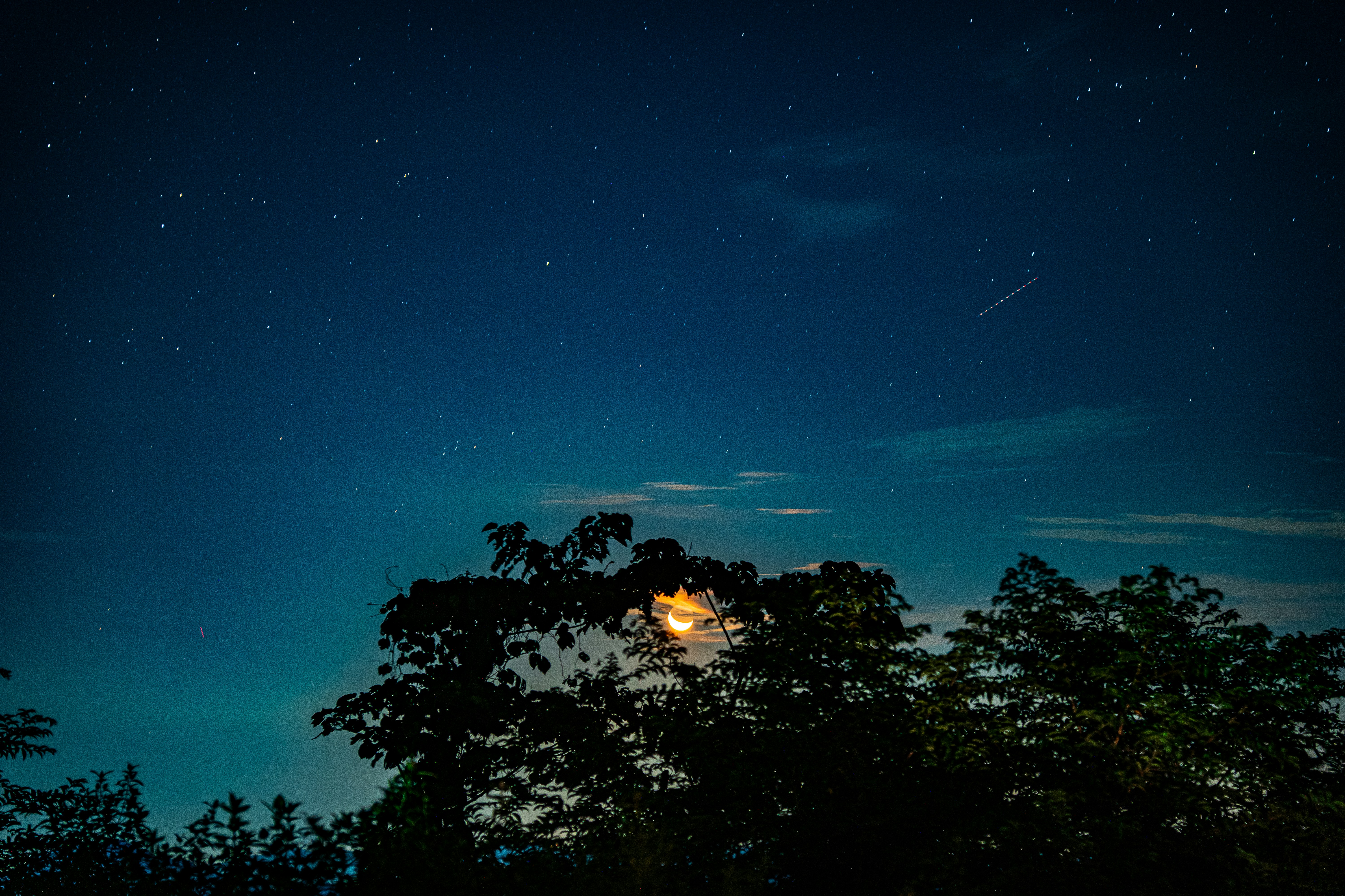Moonlit treetops under a starry cascade