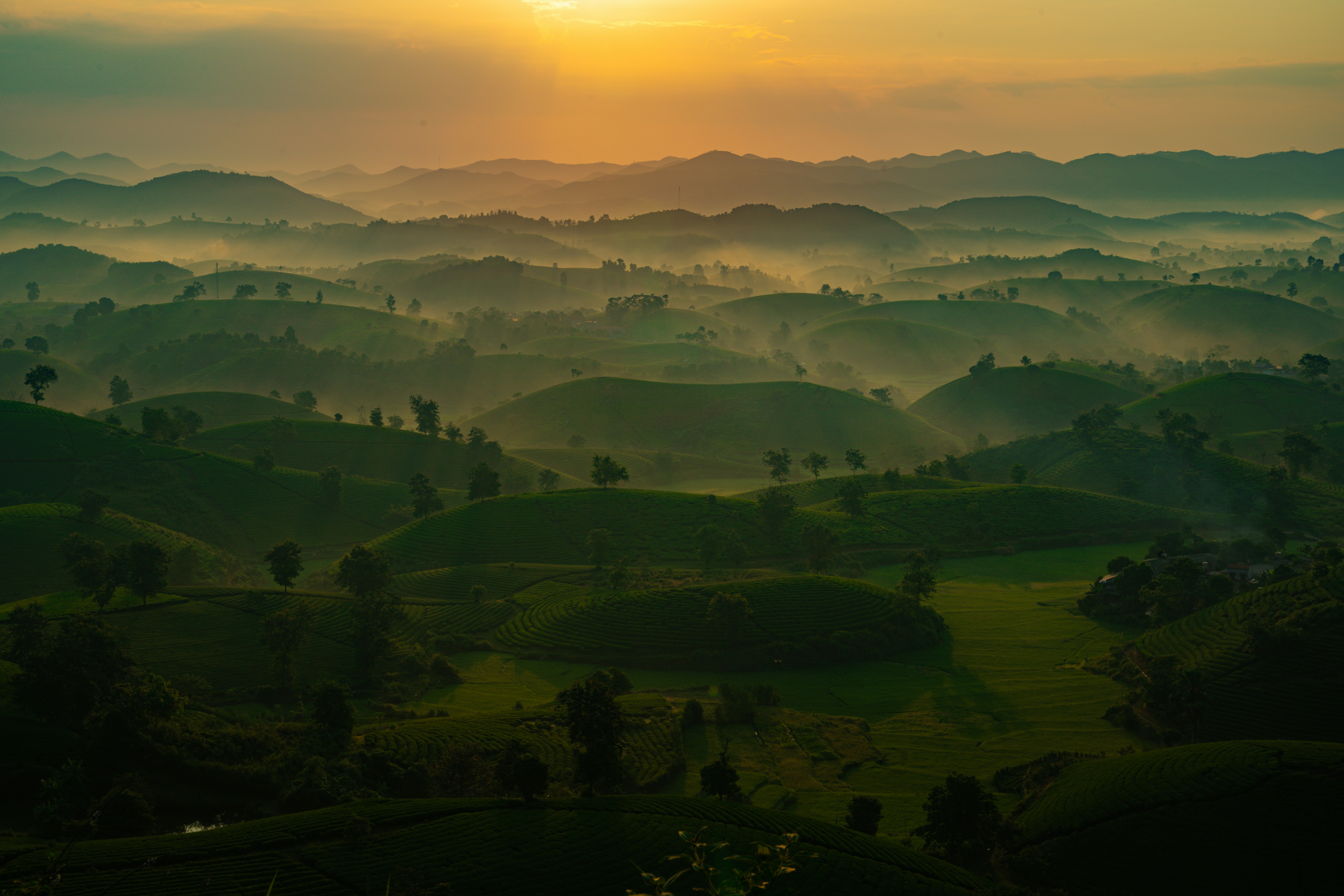 Dawn over the Terraced Hills