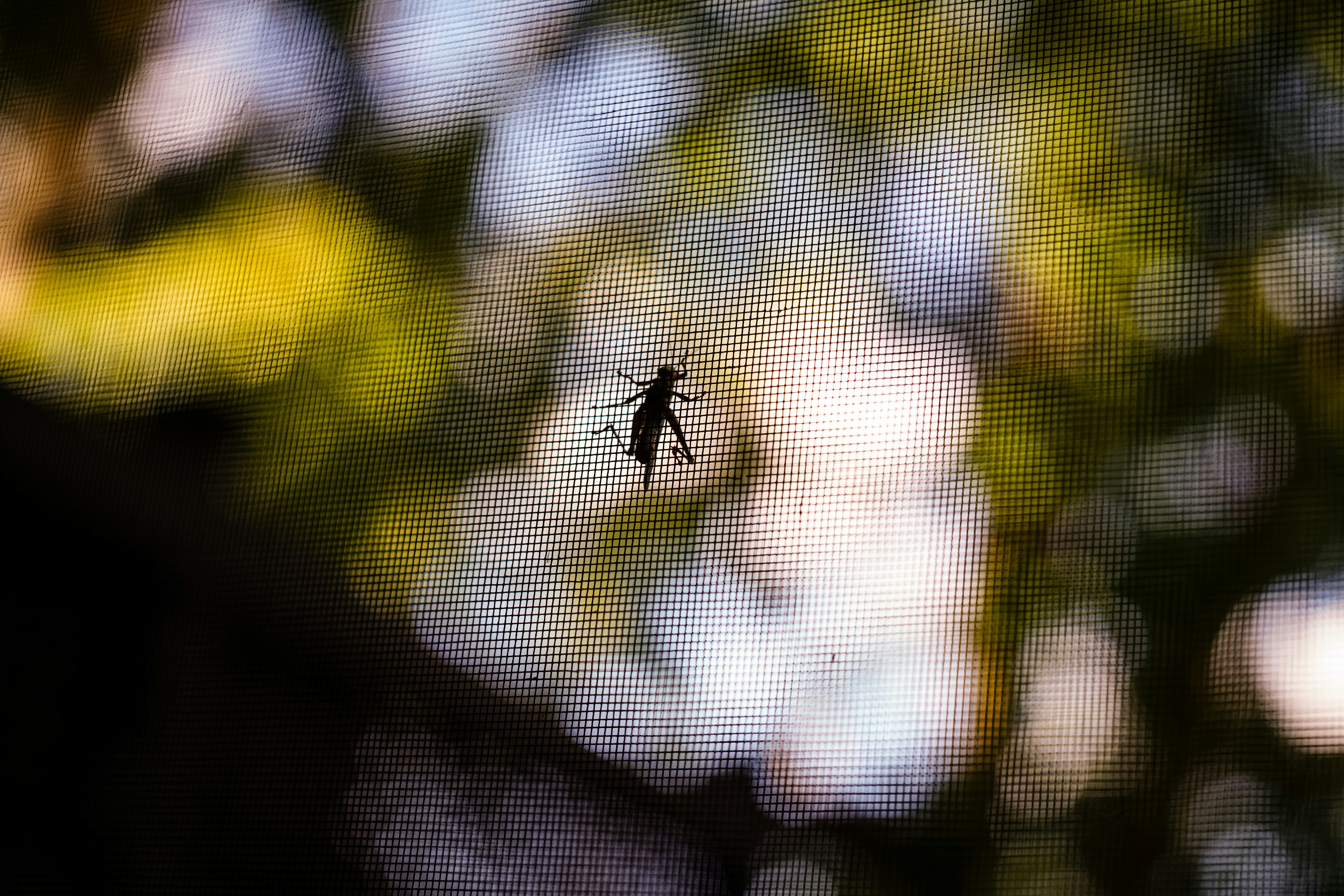 Micro Diver: A Tiny Figure in a Grainy Prism