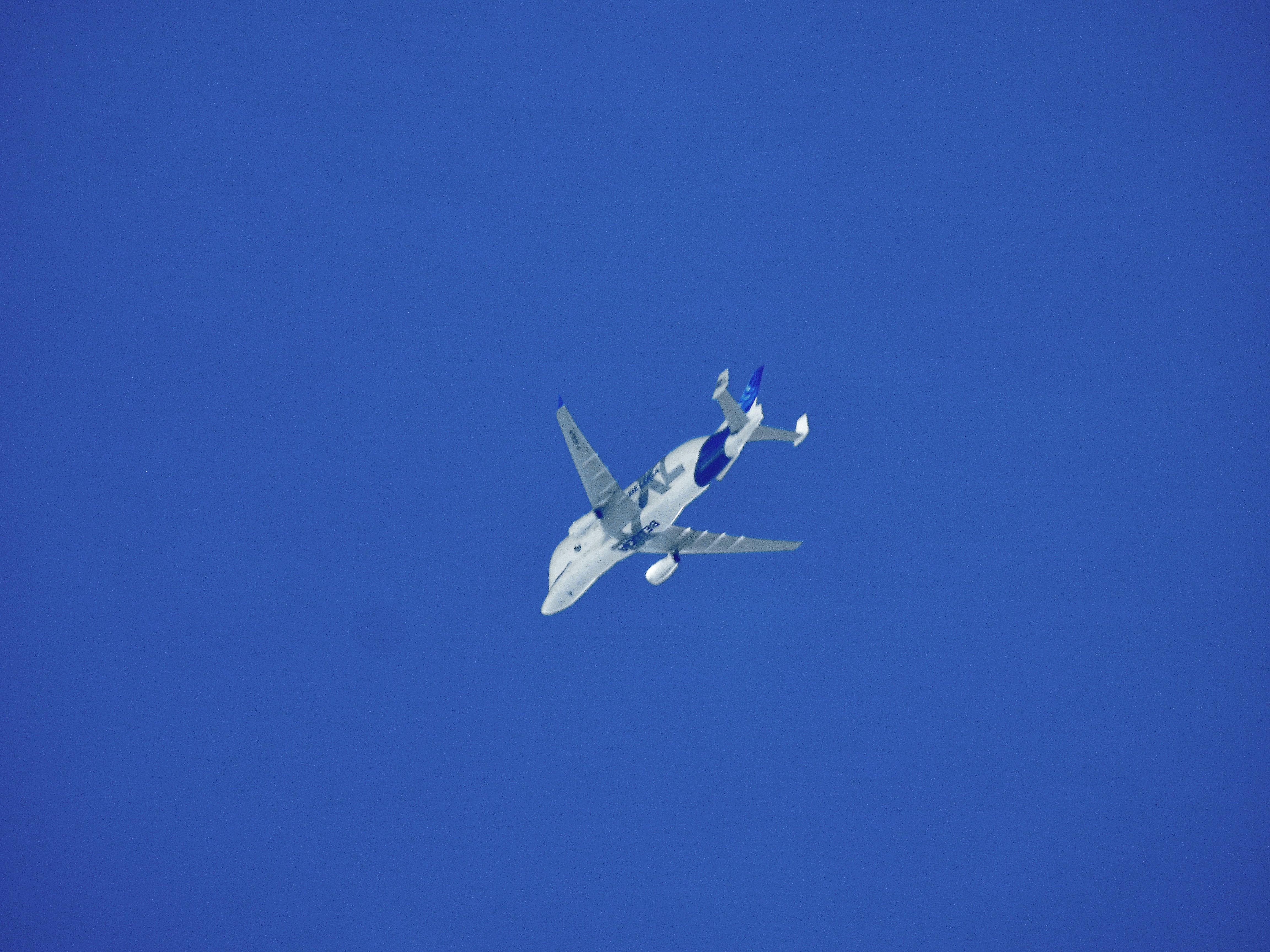 White aircraft with blue tips against a clear blue sky, photographed from below to emphasize altitude and flight attitude. The shot appears as a straightforward aviation silhouette.