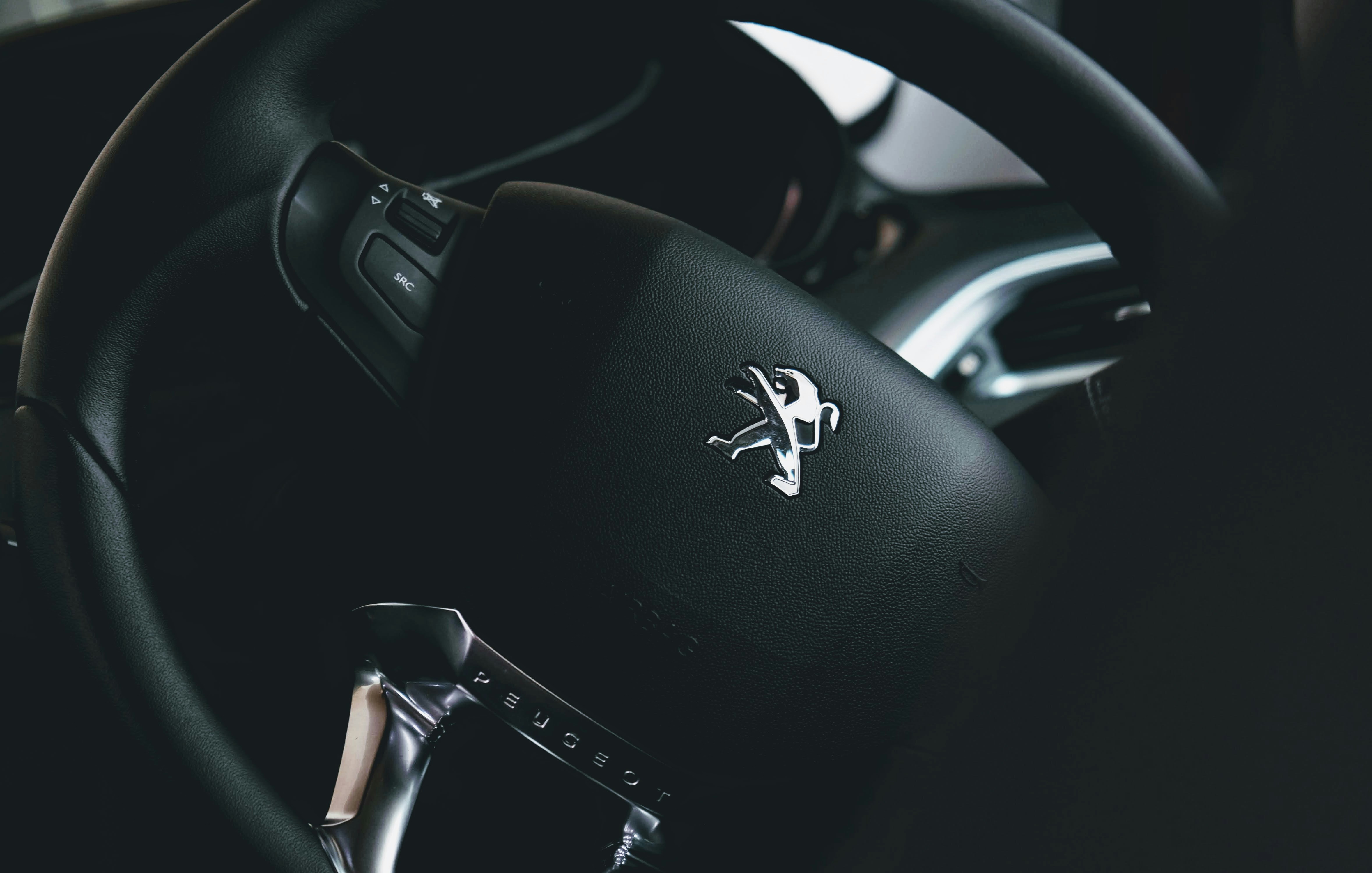 Peering into the Cockpit: Peugeot Emblem and Wheel in Focus