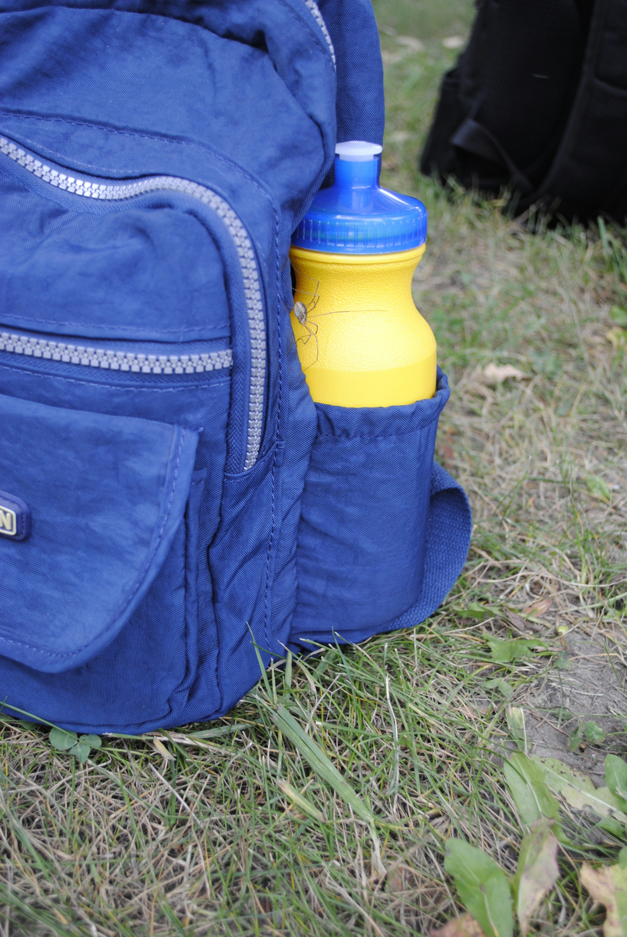 Blue backpack with yellow water bottle in grassy outdoor setting