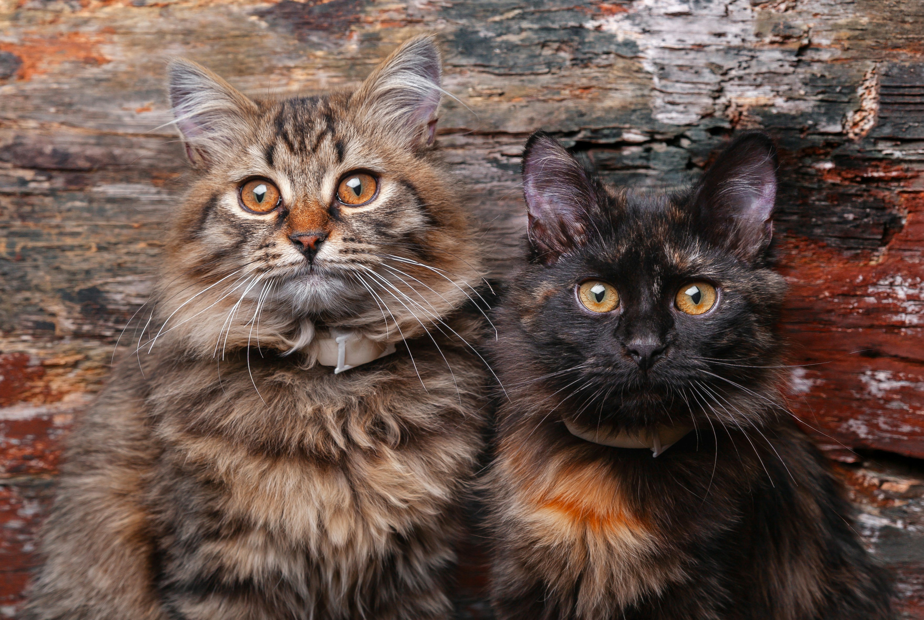 Photo by Le Tia with Canon EOS 5D Mark II