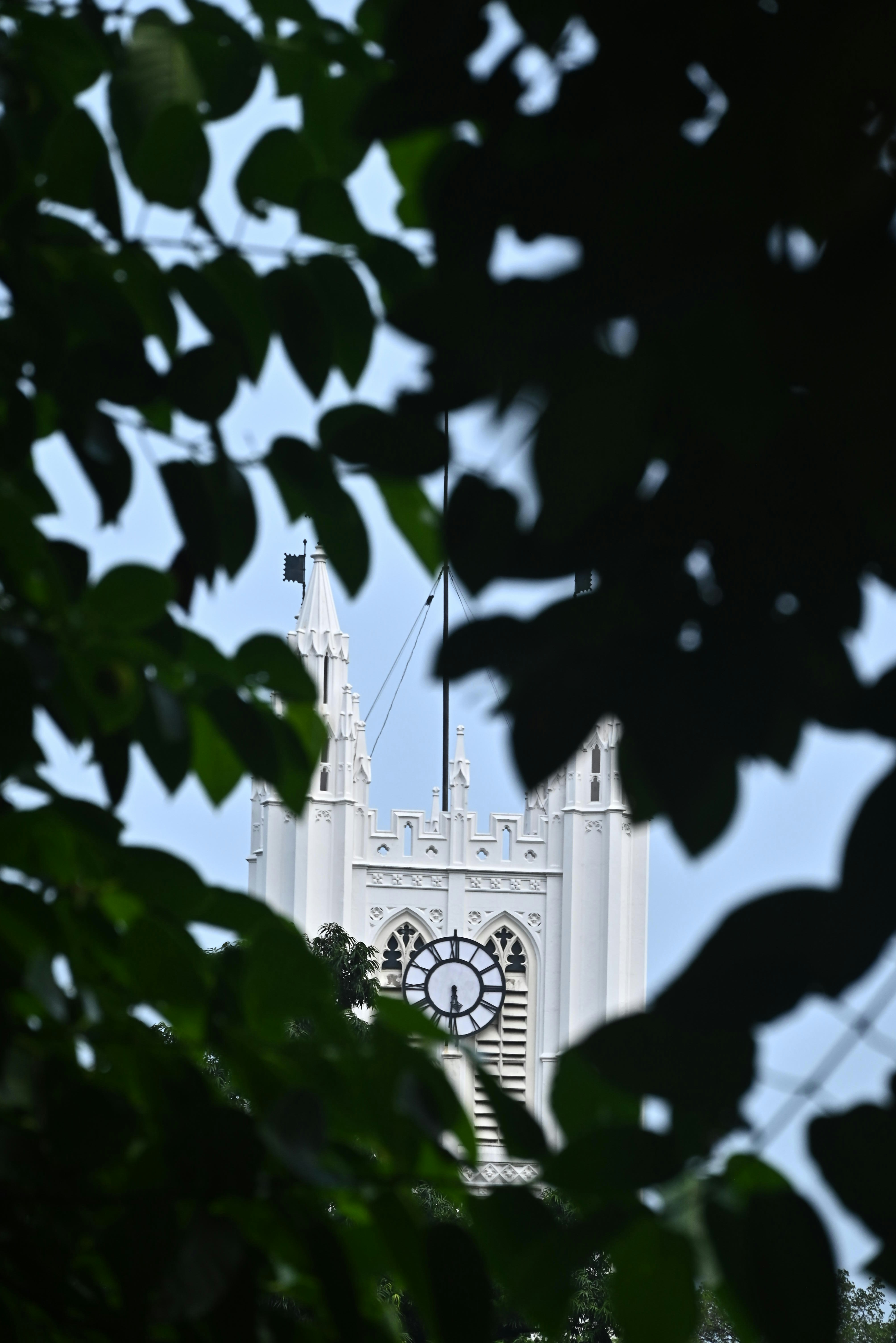 Hidden Clocktower Peeking Through Green Veil
