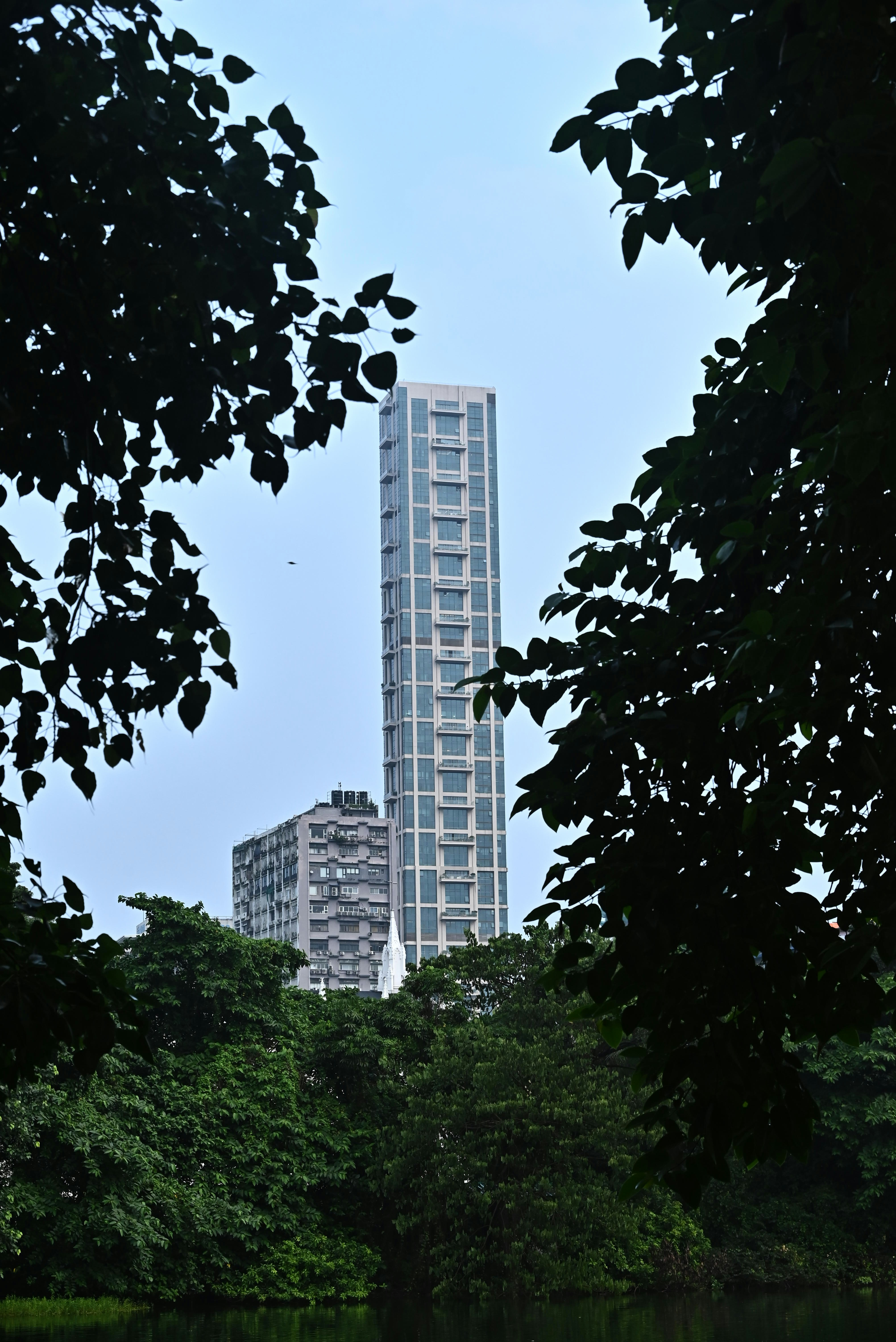 Urban Needle Rising: A Tower Peeking Through Canopy