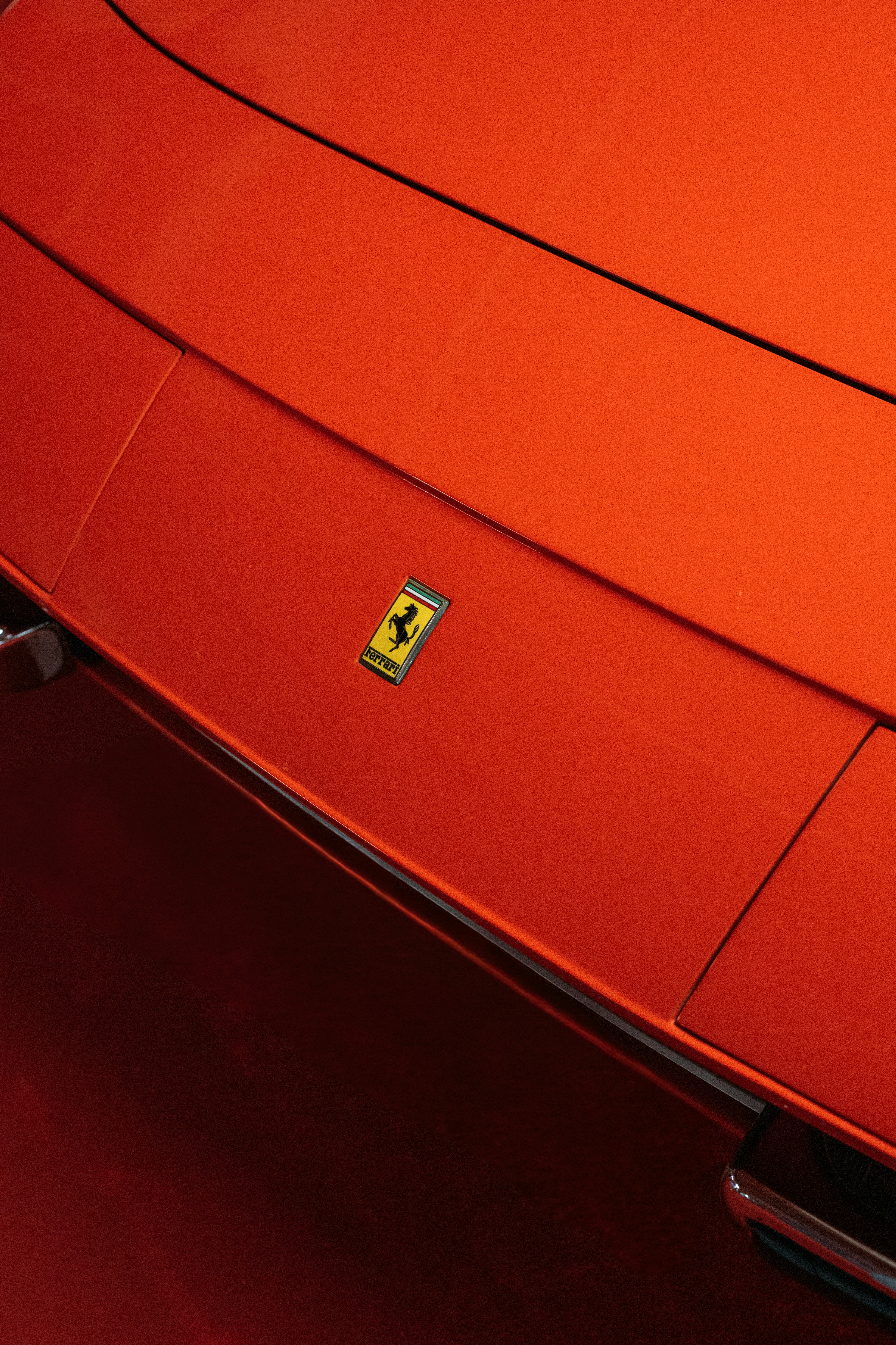 A Prancing Horse Bound in Scarlet Grace . . .