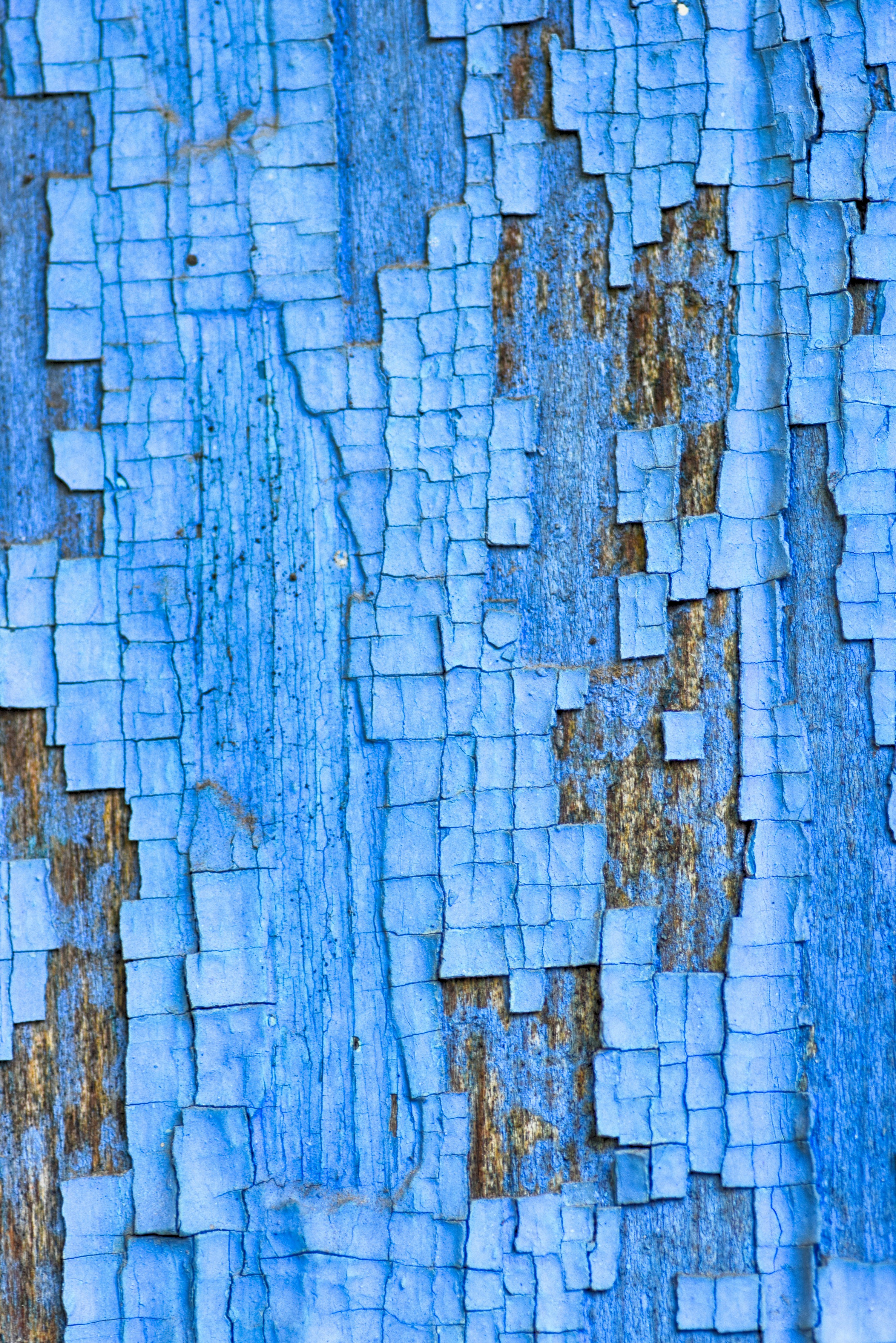 Blue Peeling: A Portrait of Weathered Wood’s Quiet Geometry