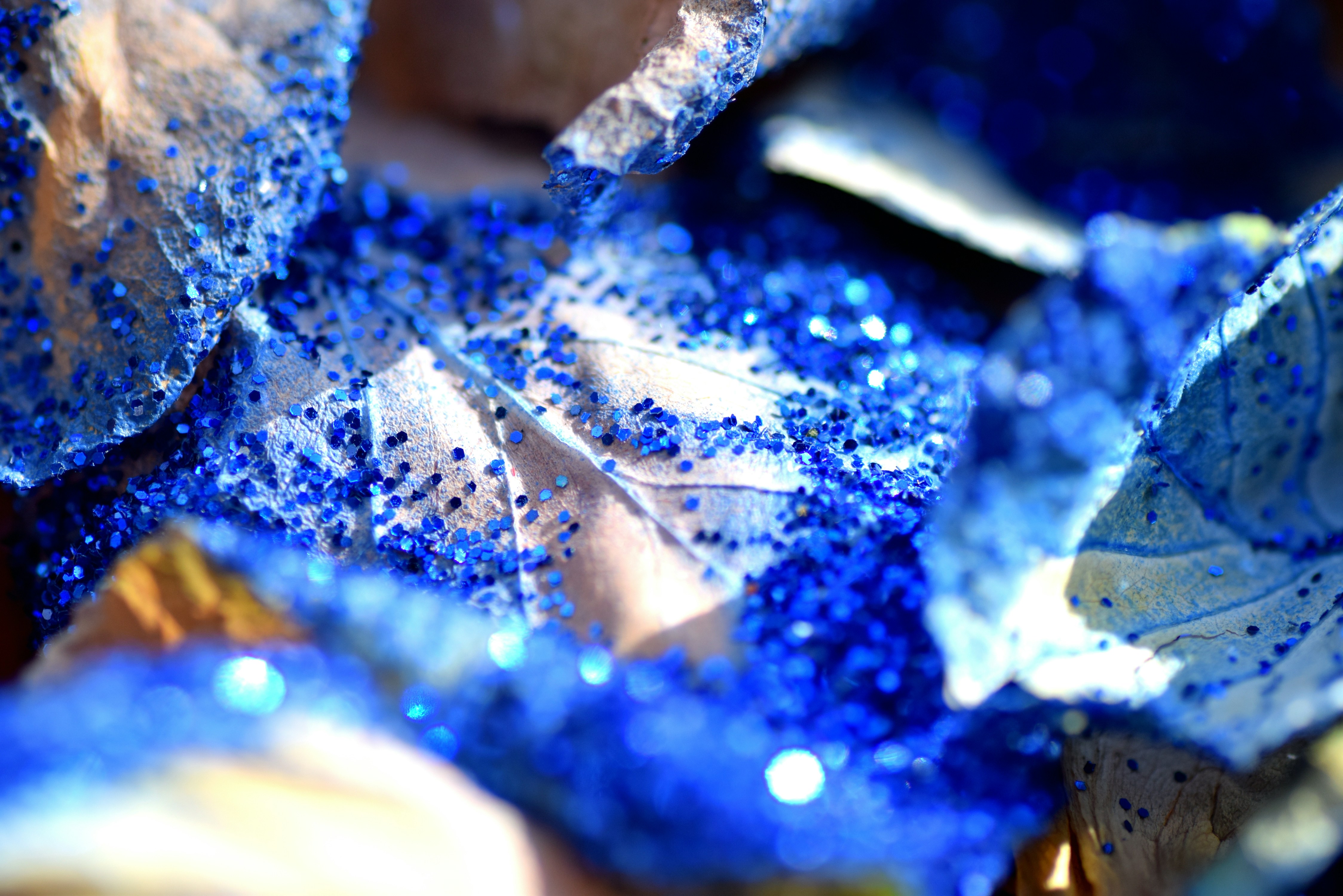 Blue Glitter Fragments on Textured Leaves