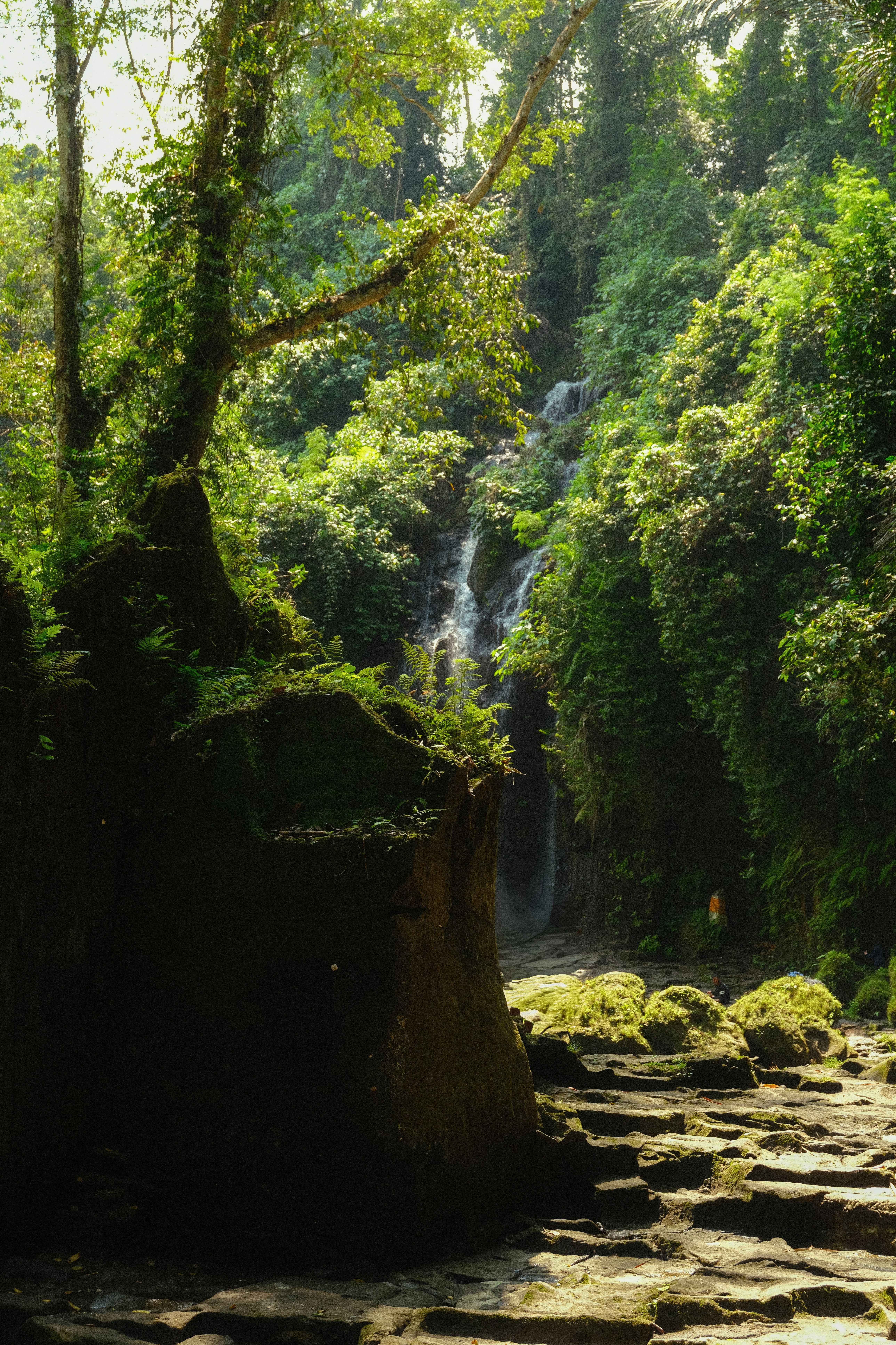 Whispering Cascade in the Mossy Glen