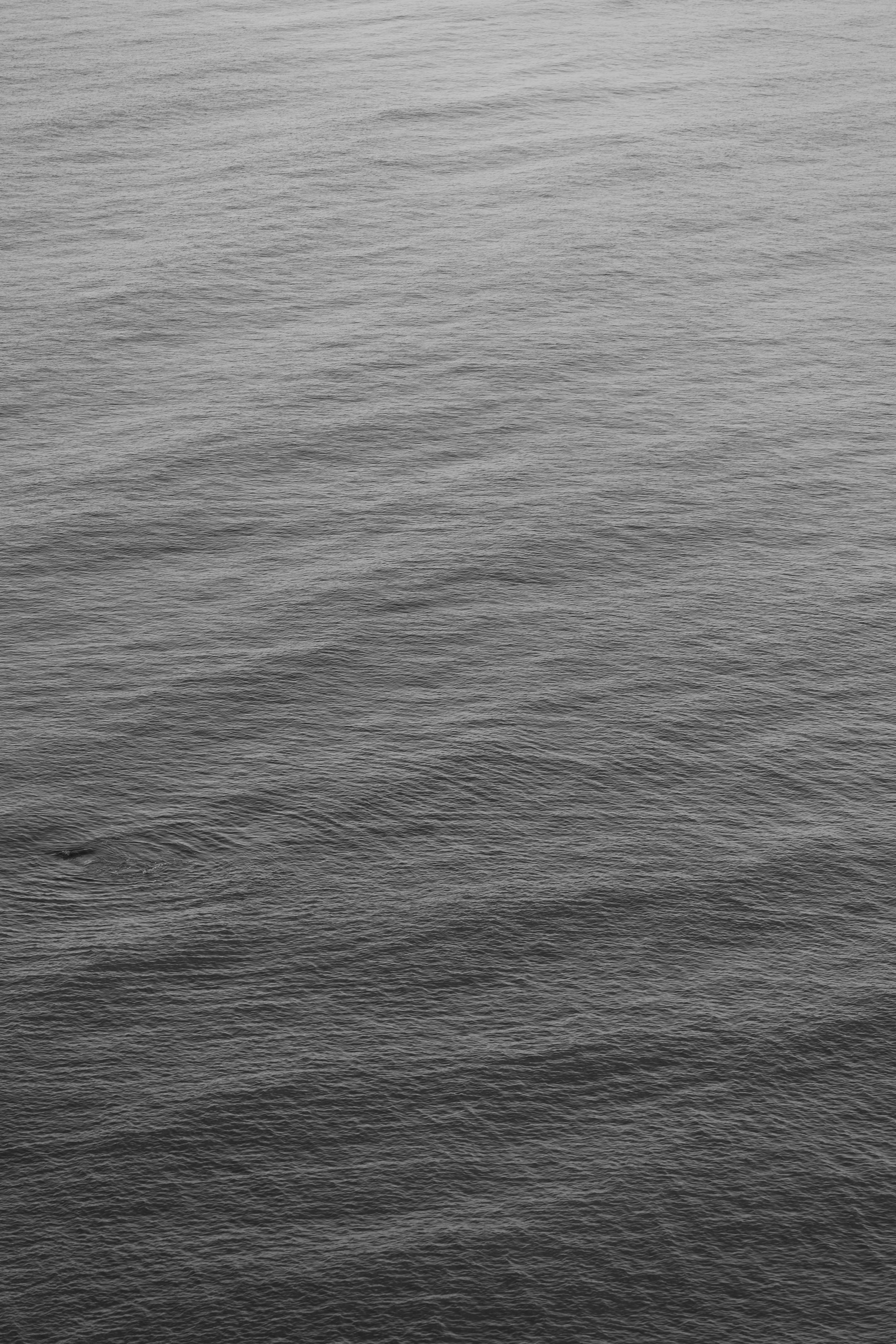Gentle Gray Waves: A Quiet Ocean Surface in Monochrome