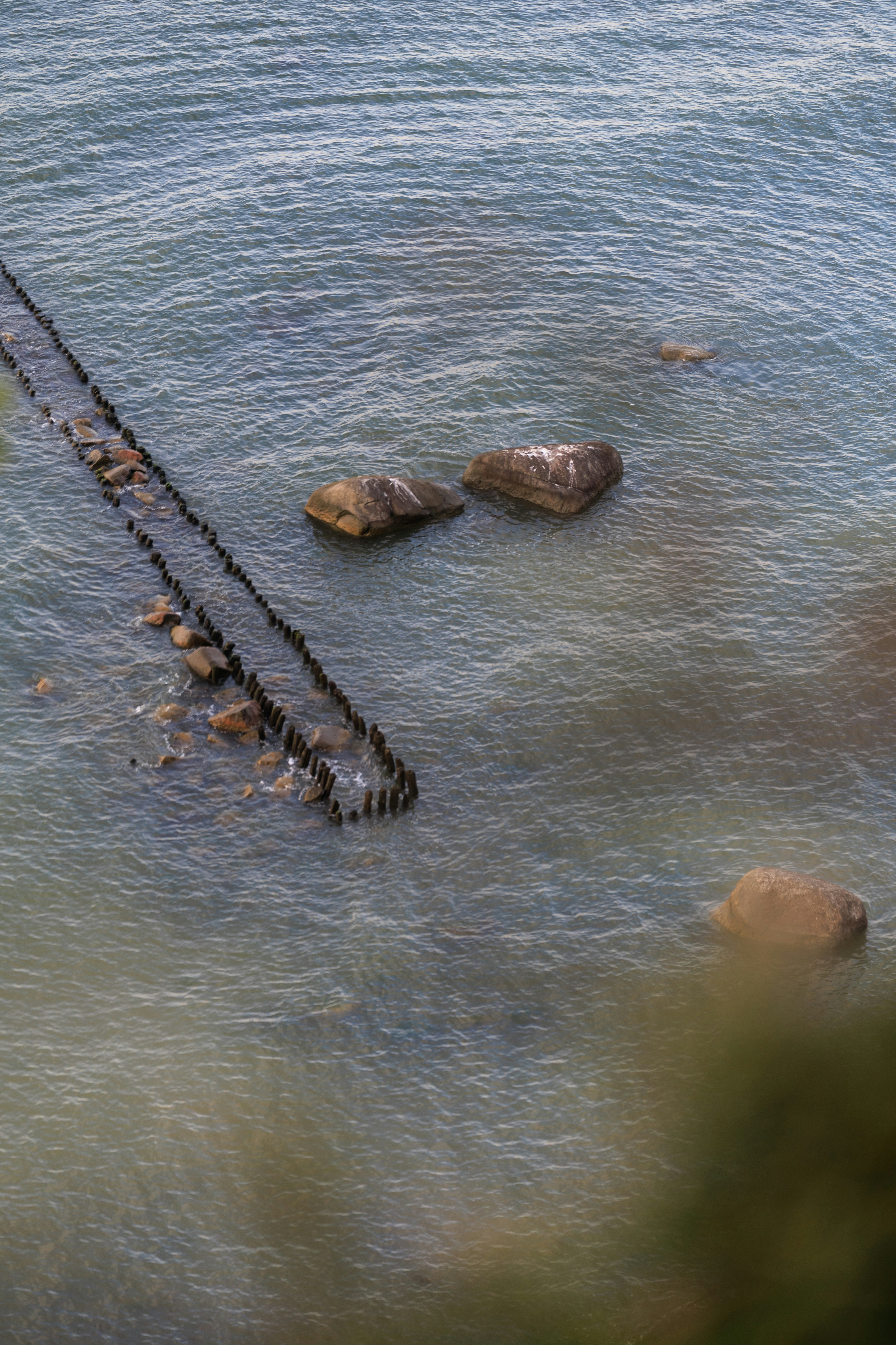 Rope-and-Rock Ripples: A Quiet Shoreline Study