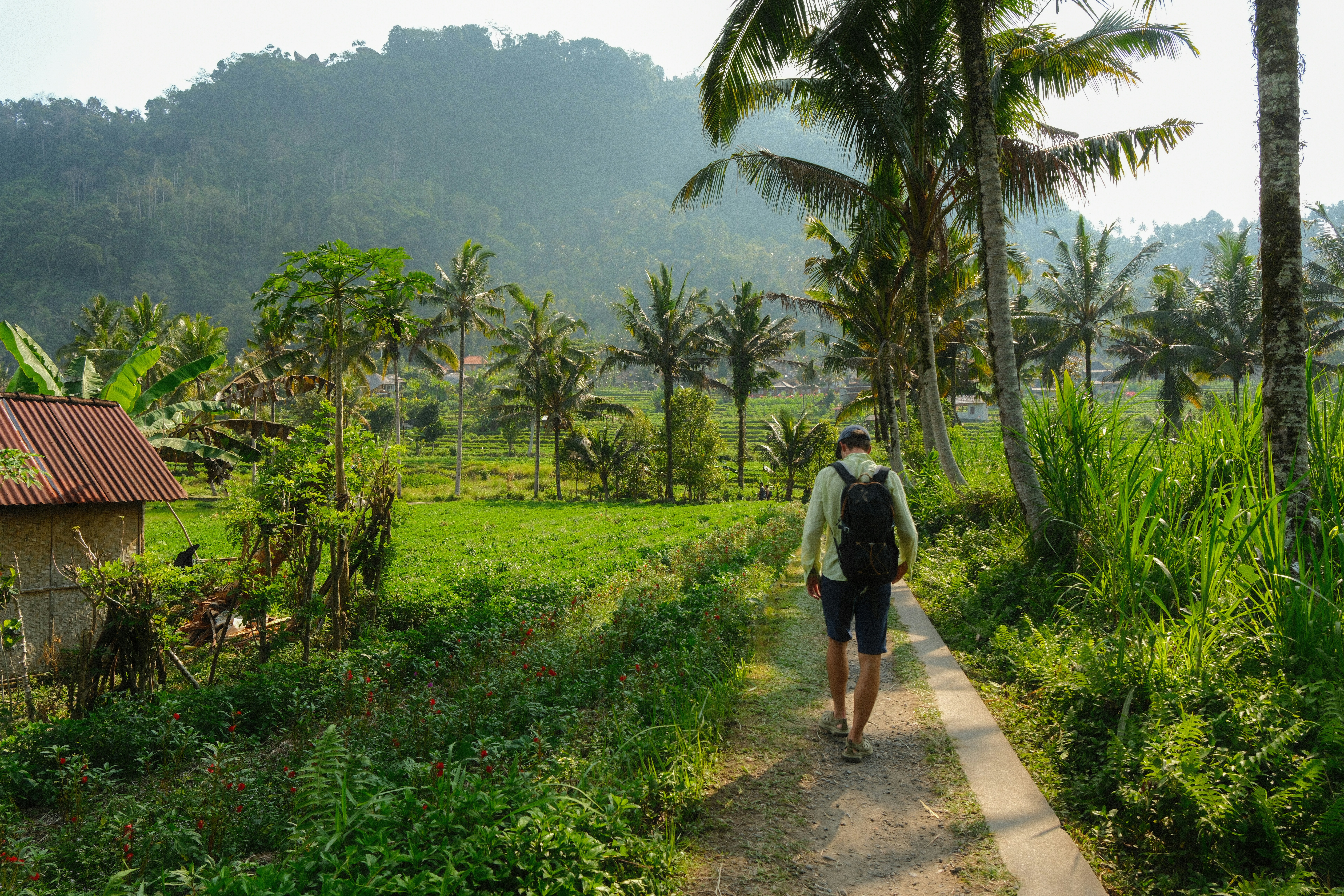 Along the Green Corridor: A lone hiker on a sunlit rural path