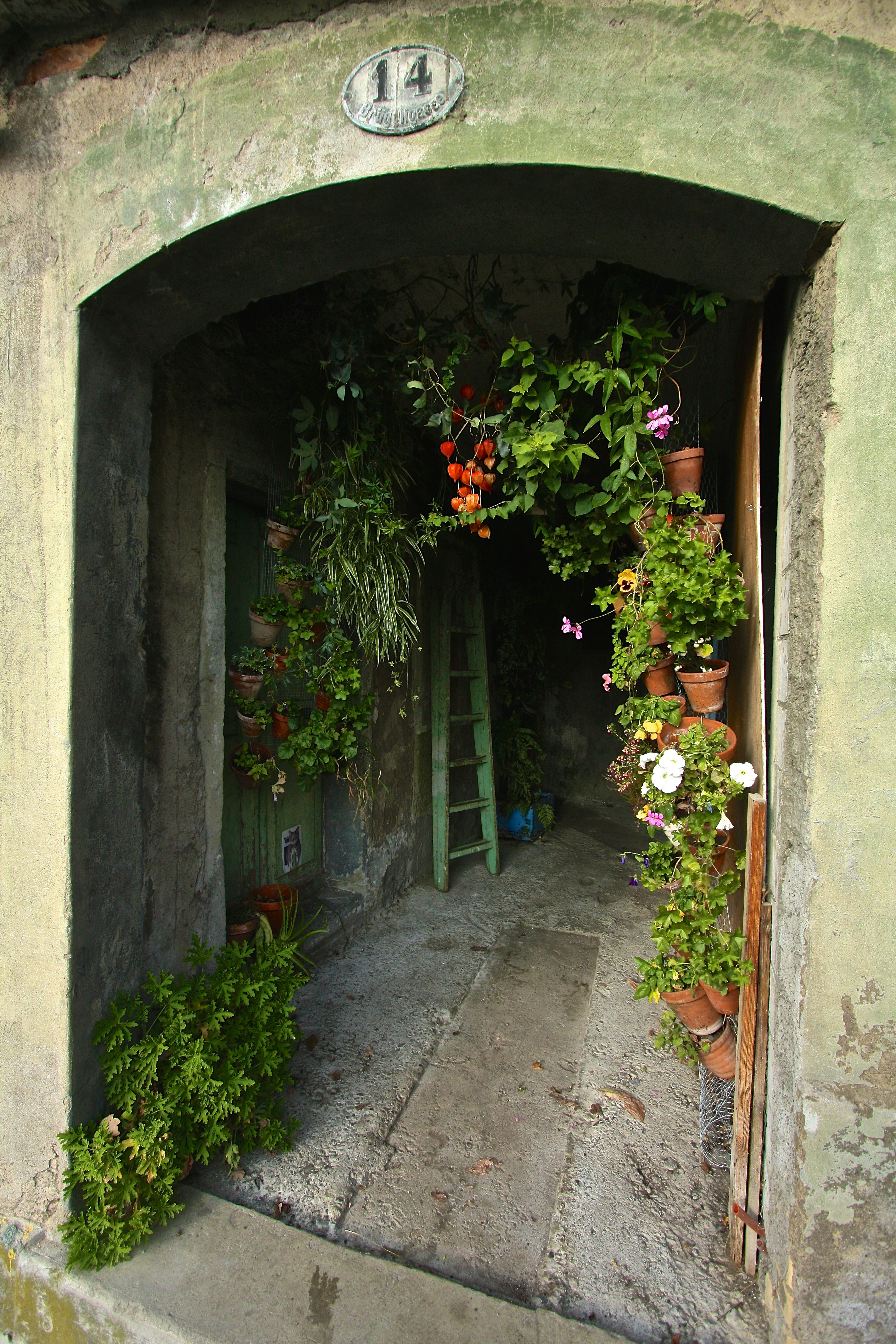 Green Archway of Potted Echoes