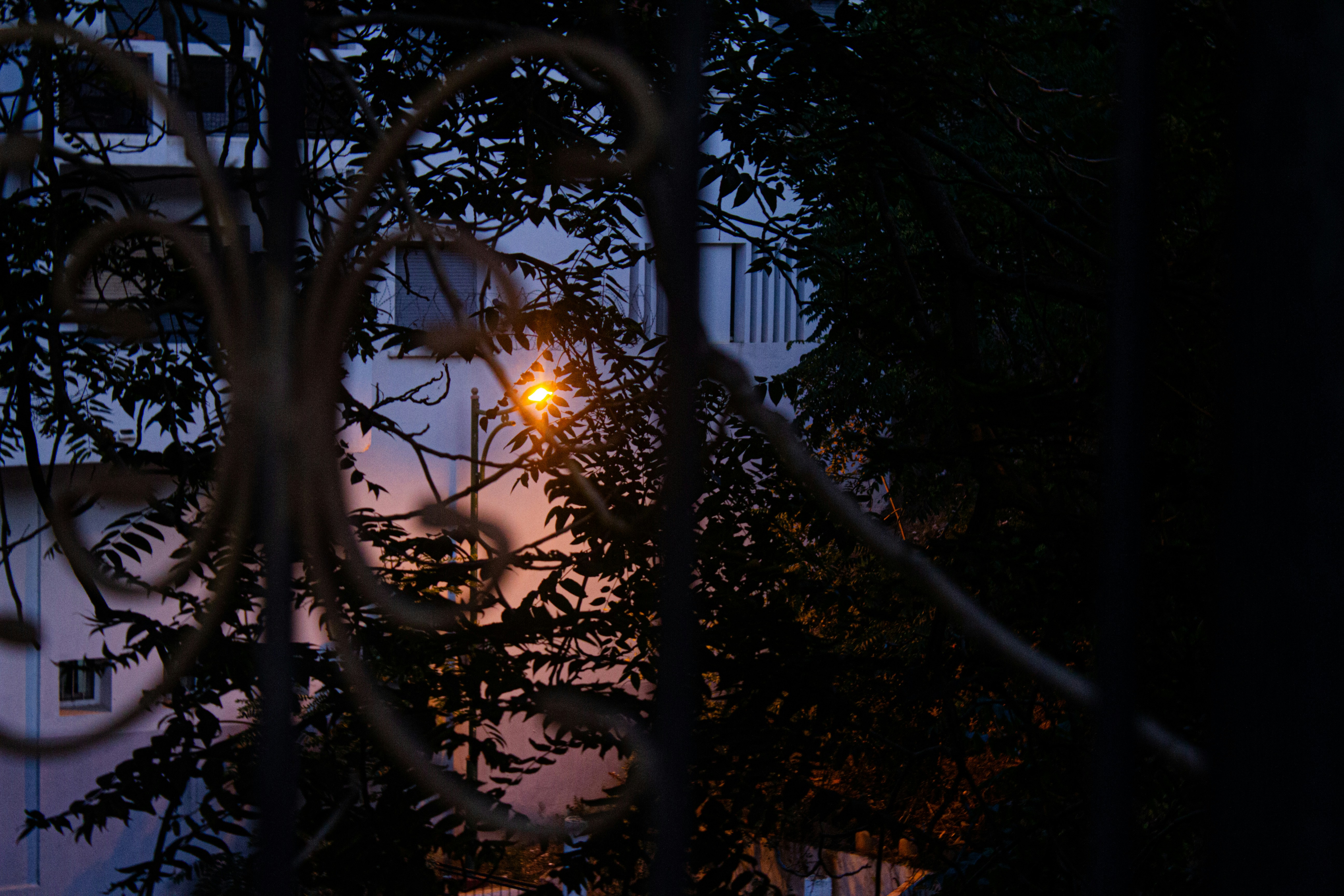 Dim urban dusk scene with a warm streetlight peering through a pattern of iron bars and foliage; a moody composition emphasizing silhouette and color. (Photo is a photograph.)
