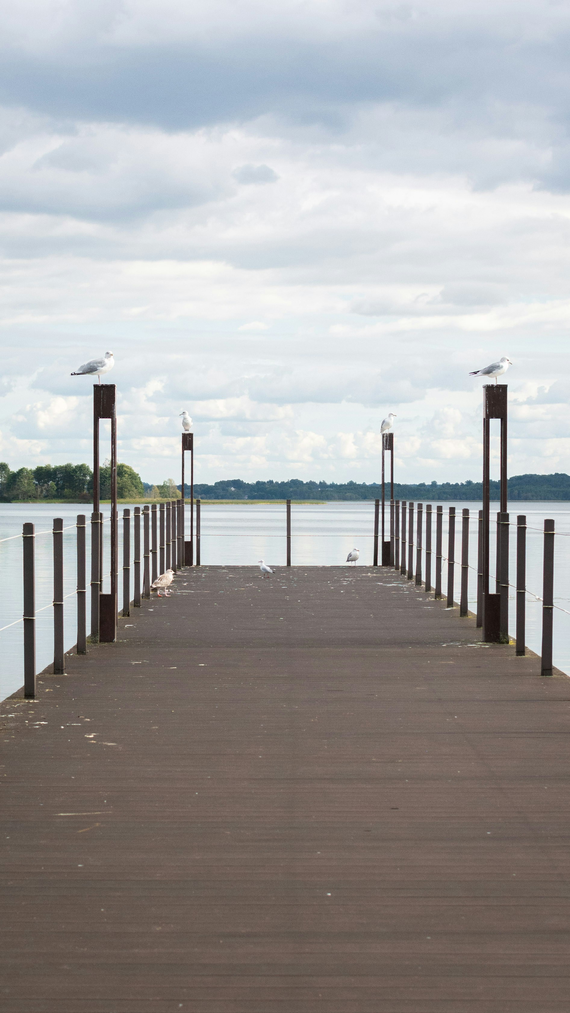 Stretched Quiet: A Seaside Pier Reaching Toward Calm Waters