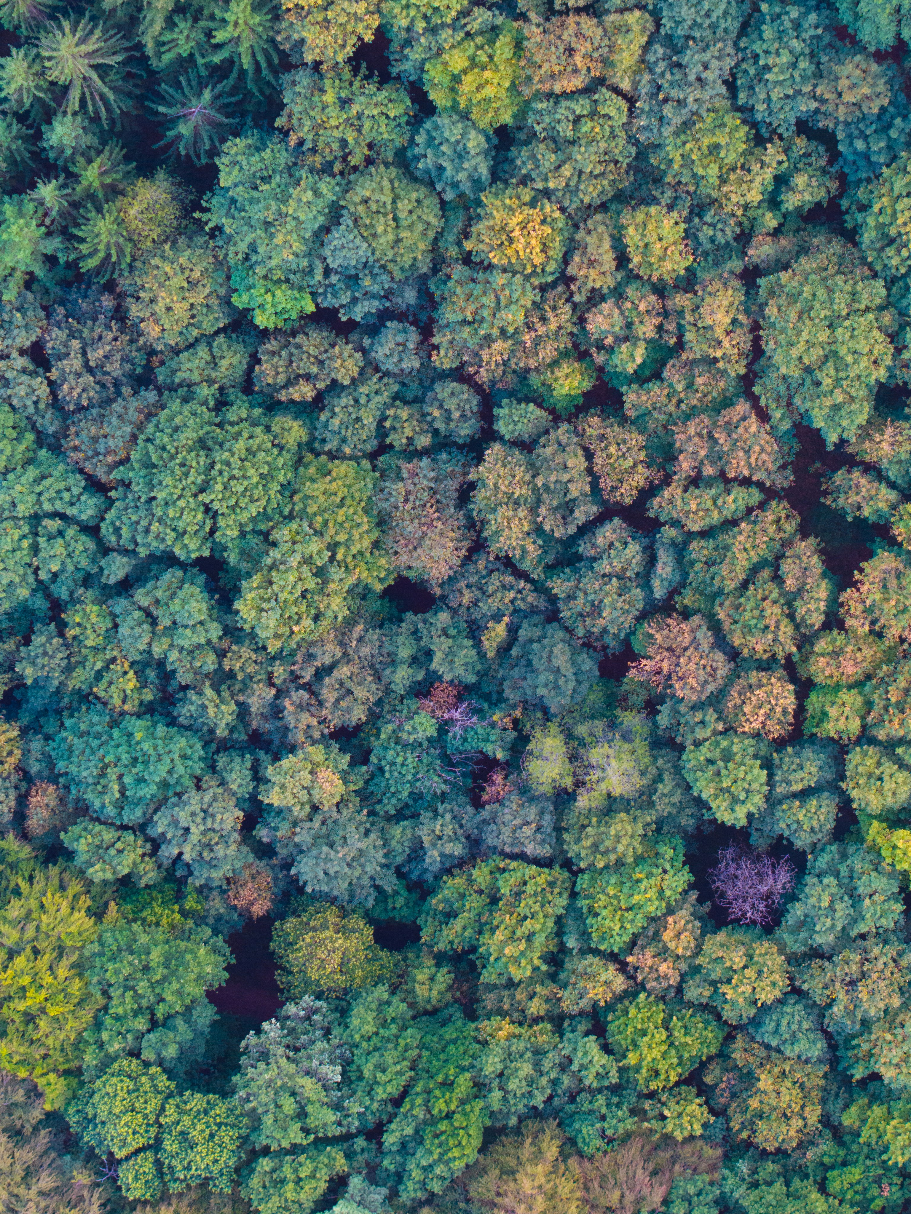 Photo by Bernd 📷 Dittrich with DJI Air 3S